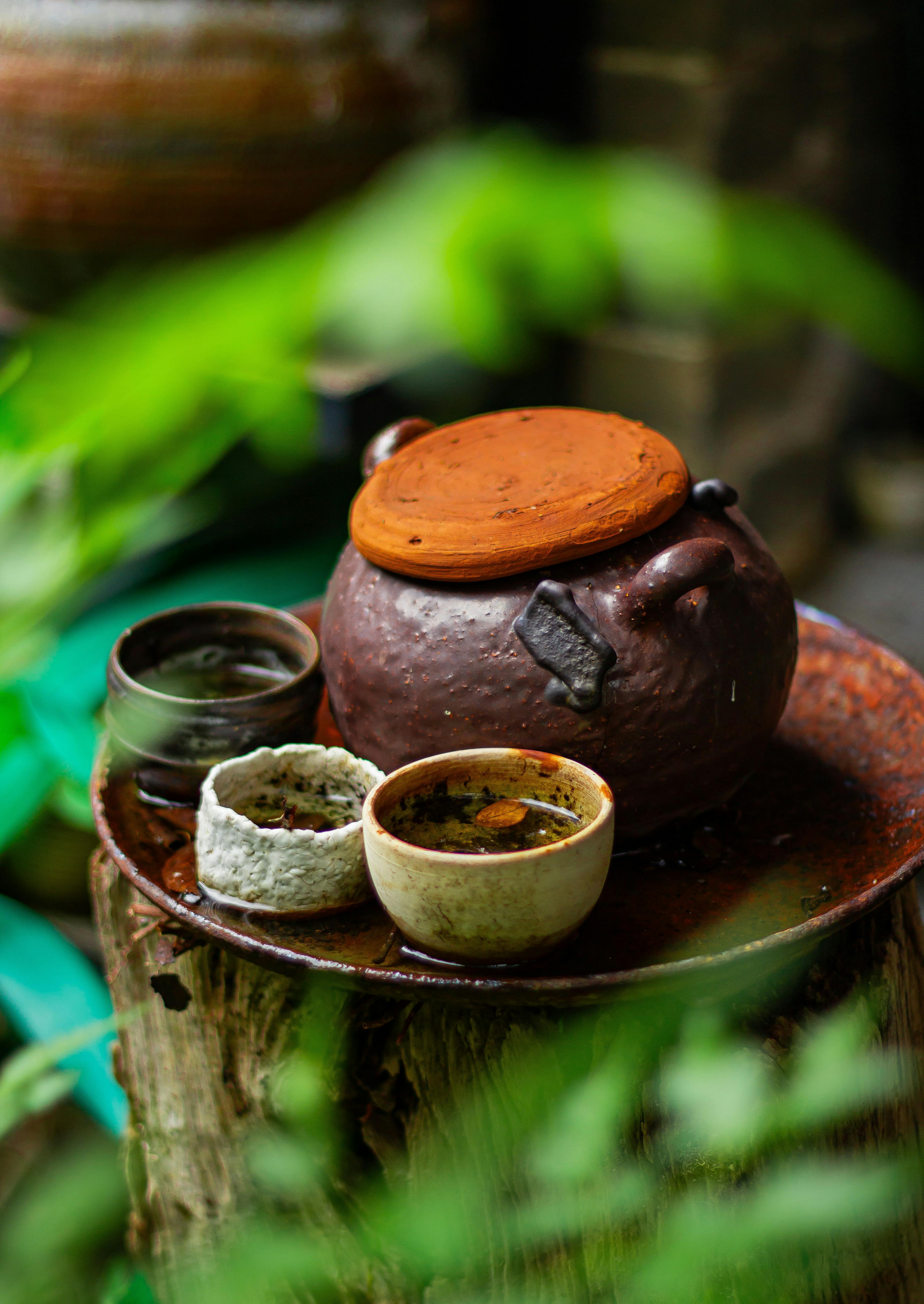 Rustic Tea Set in Leafy Outdoor Setting · Free Stock Photo