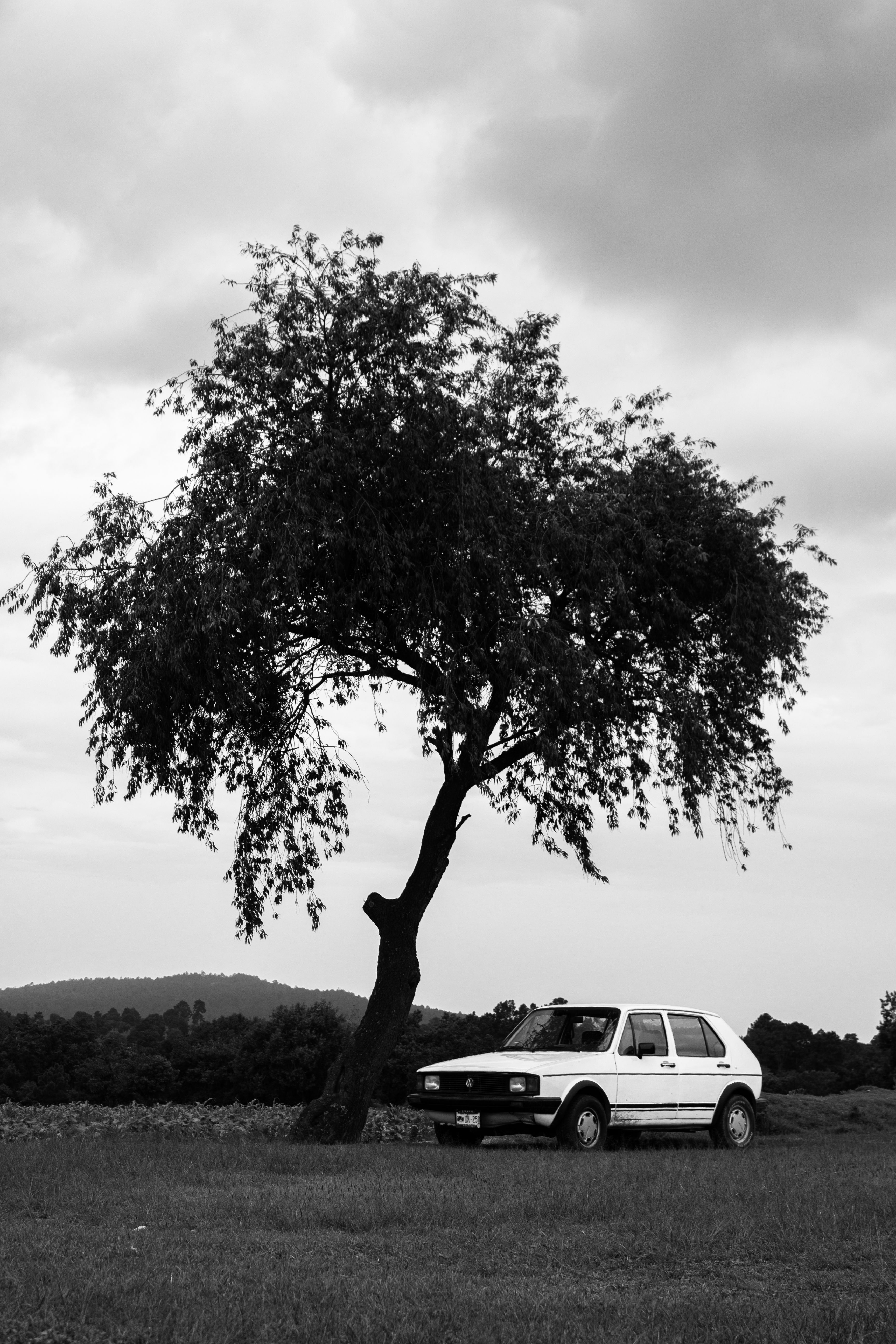 Classic Volkswagen Car Under Lone Tree · Free Stock Photo