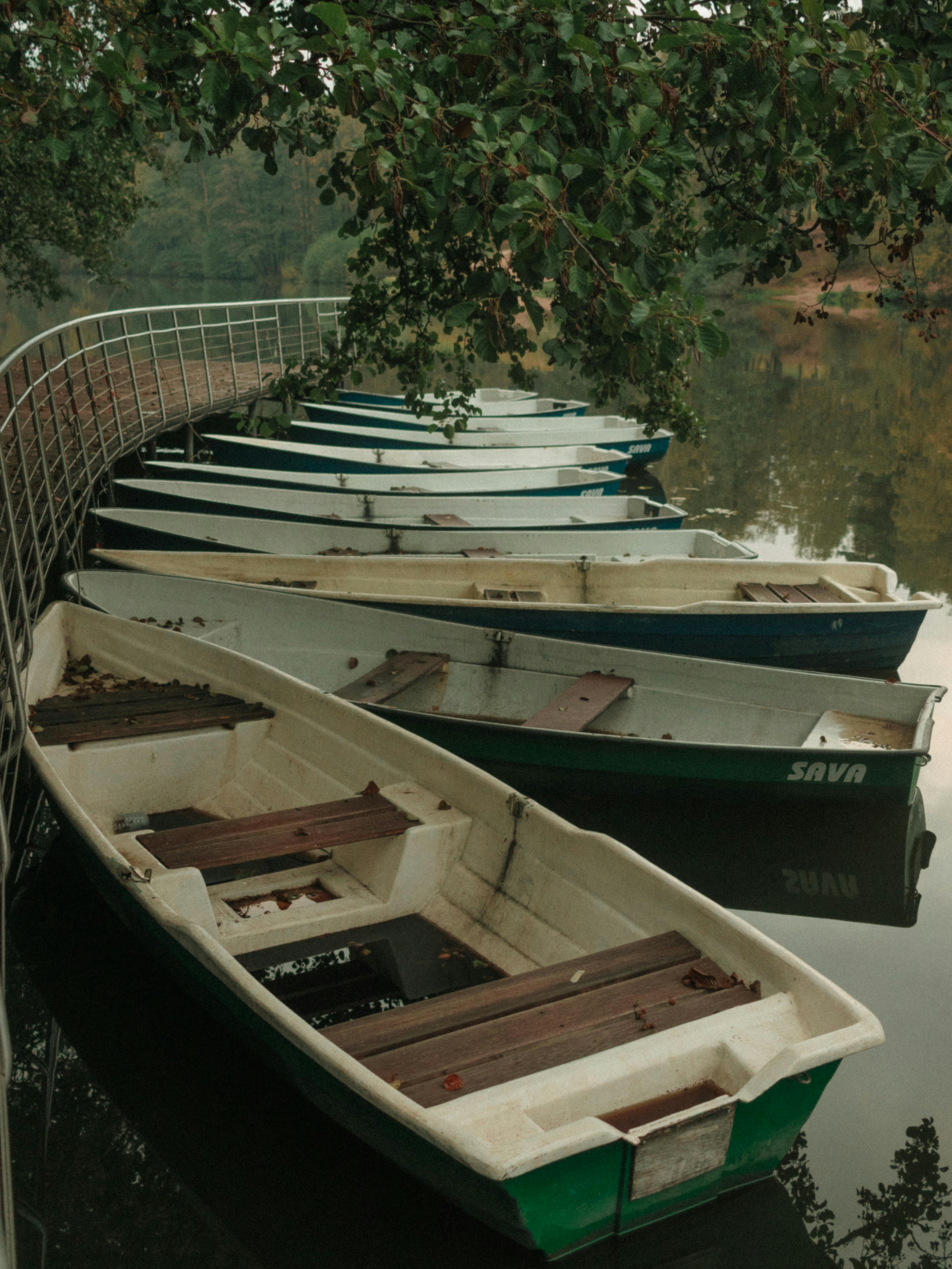 Rowboats Lined Up Along a Serene Lakeside Path · Free Stock Photo