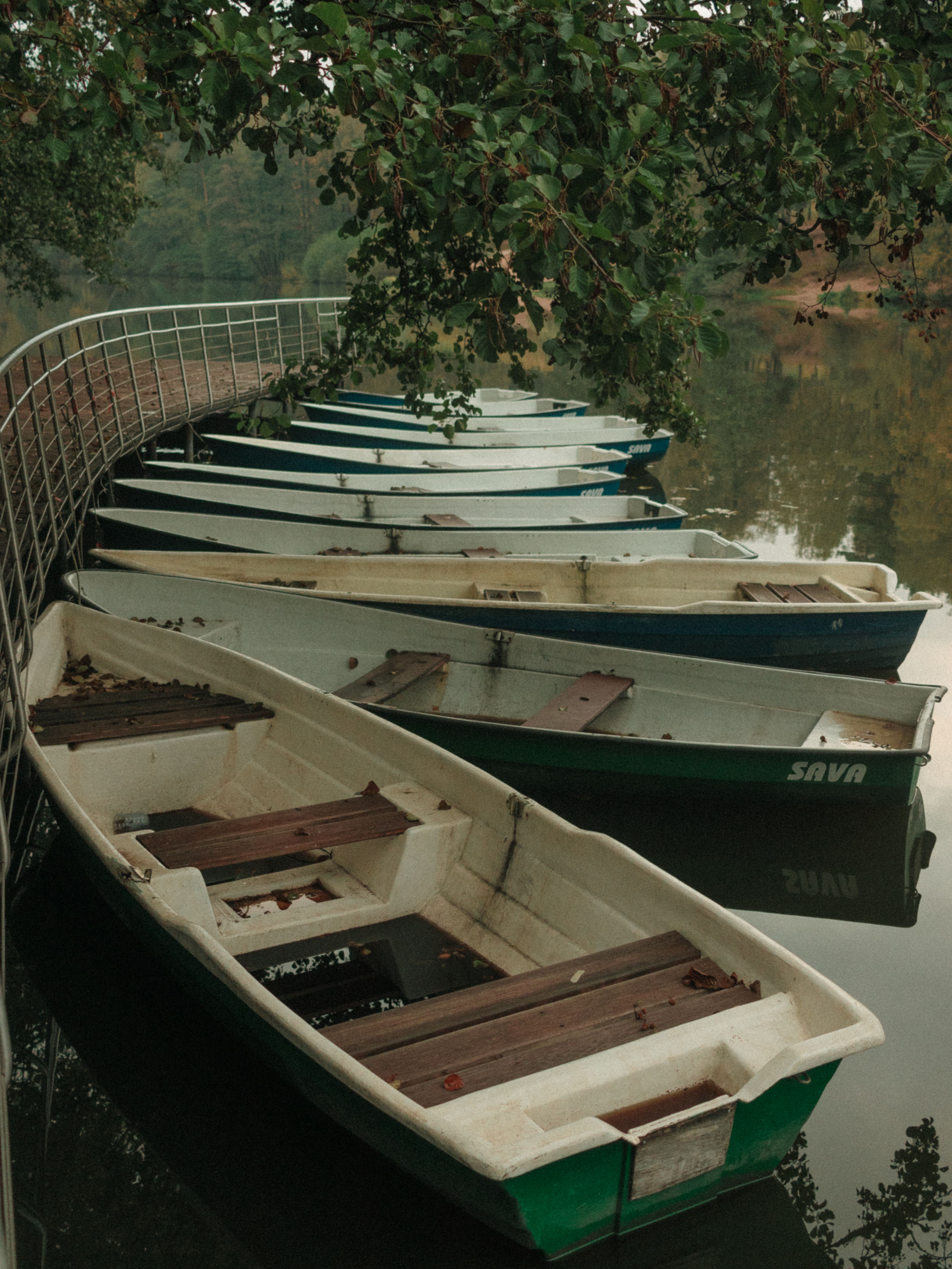 Rowboats Lined Up Along a Serene Lakeside Path · Free Stock Photo