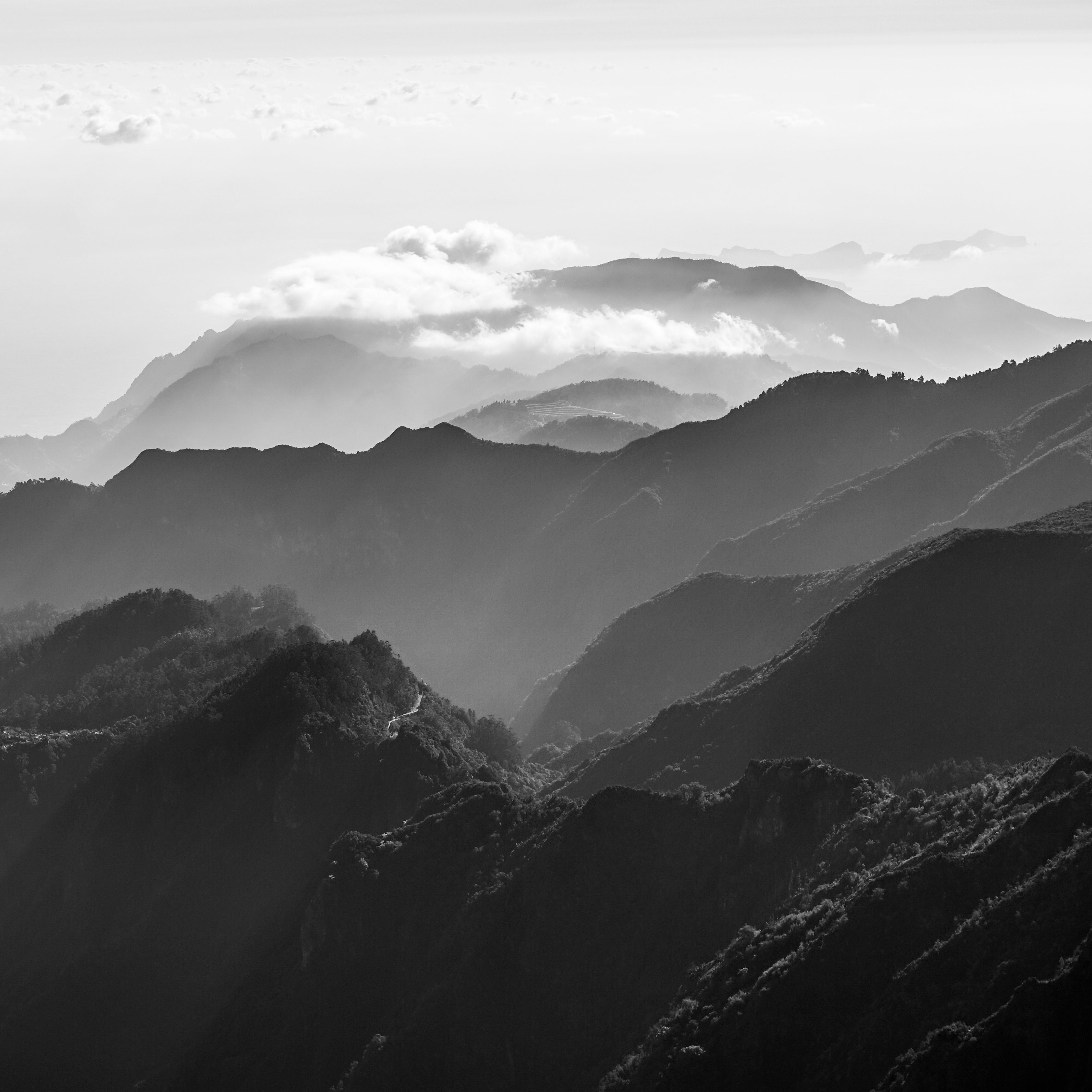 Landscape Grayscale Photography of Concrete Houses Surrounded With ...