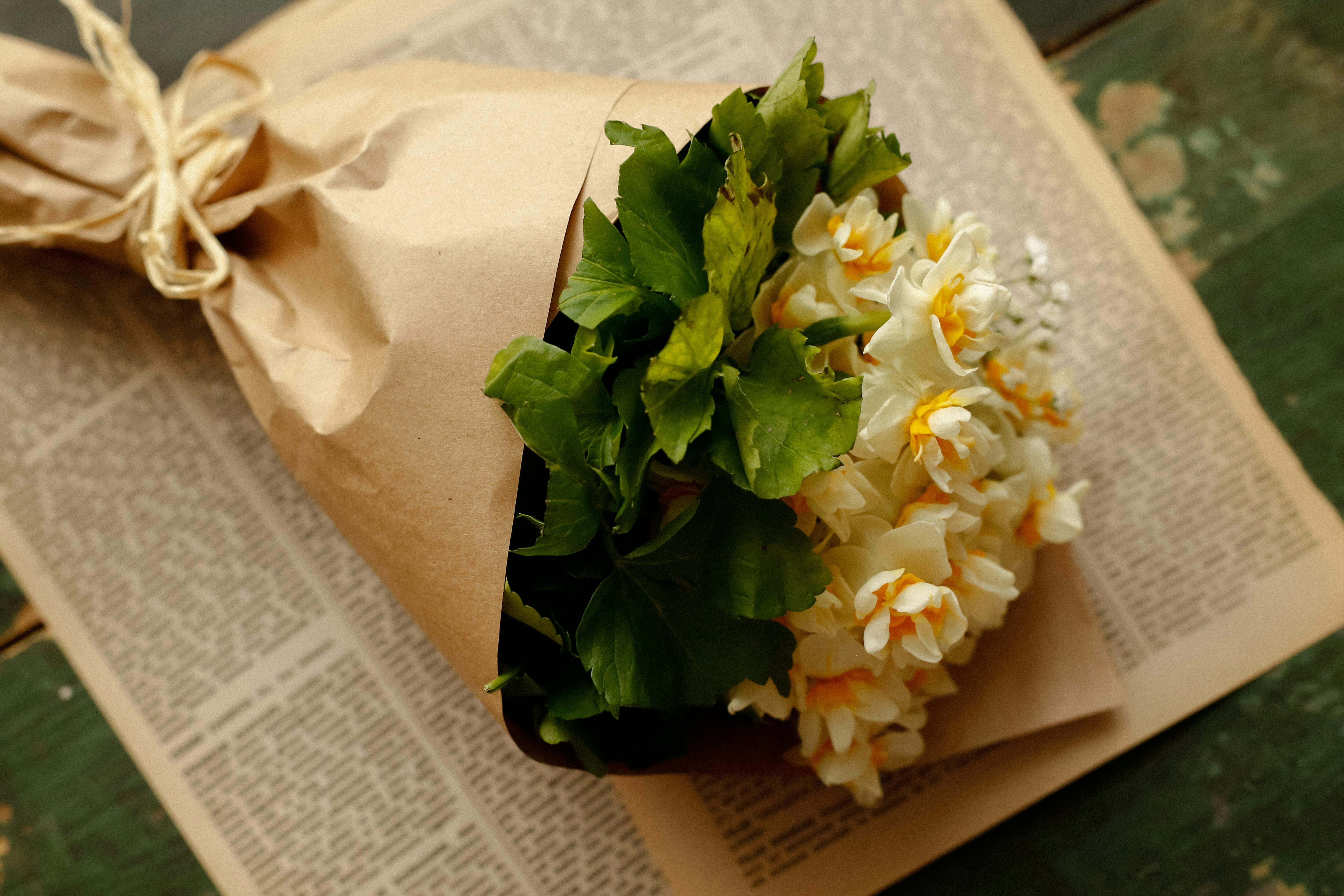 Gift Book Gift Photos, Download The BEST Free Gift Book Gift Stock ...