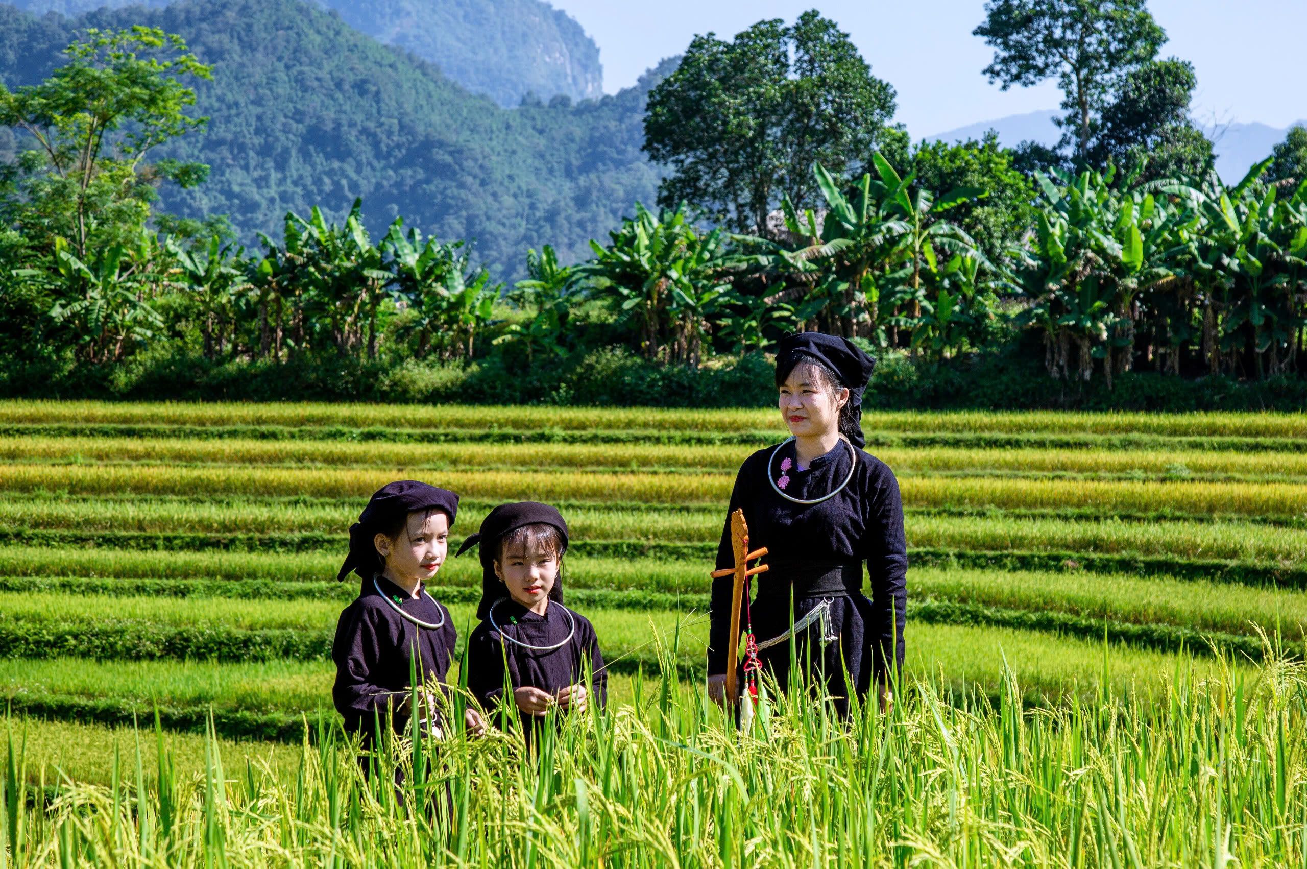 Ethnic Family in Lush Green Rice Field Landscape · Free Stock Photo