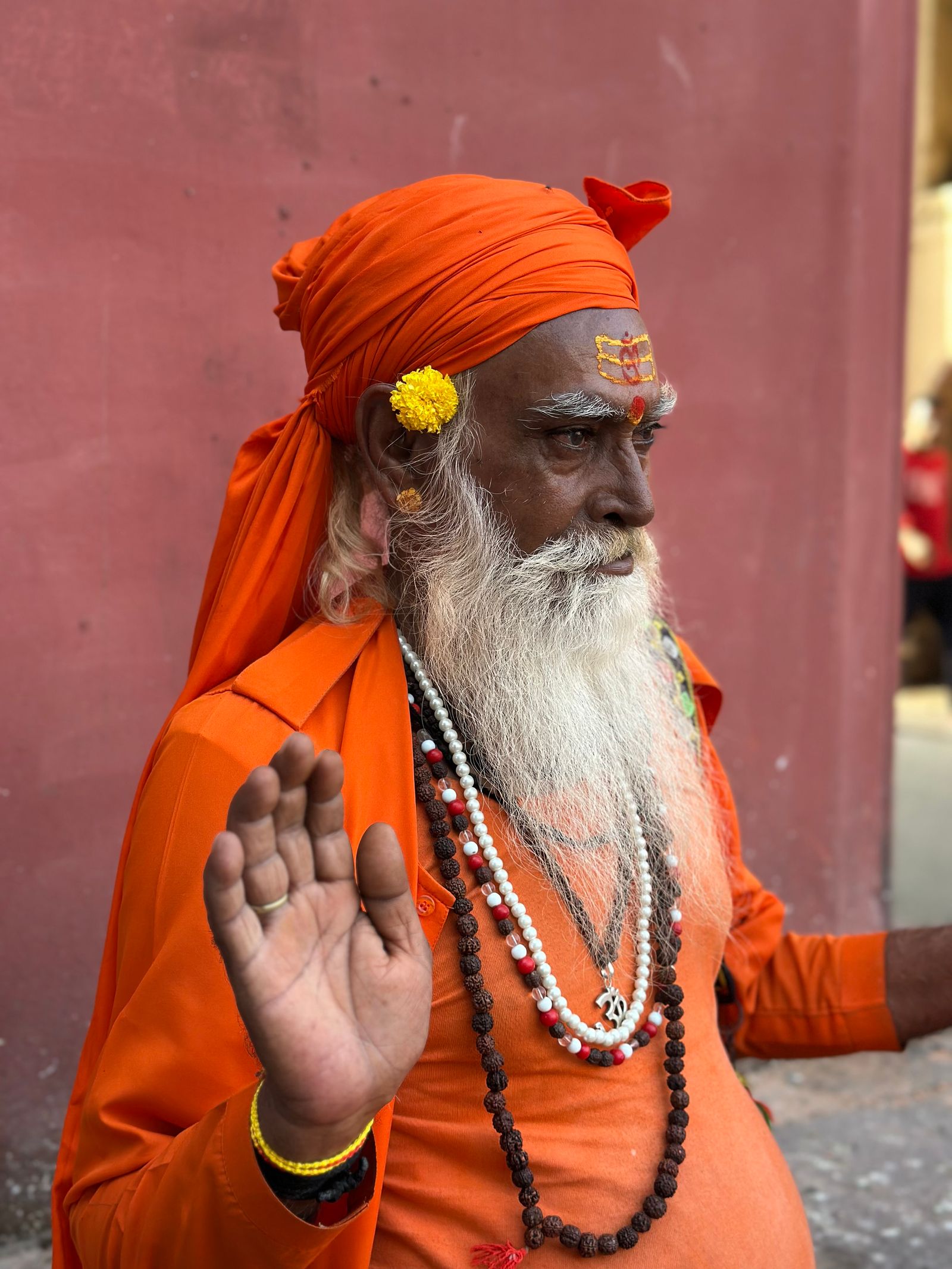 Hindu Guru Photos, Download The BEST Free Hindu Guru Stock Photos & HD ...