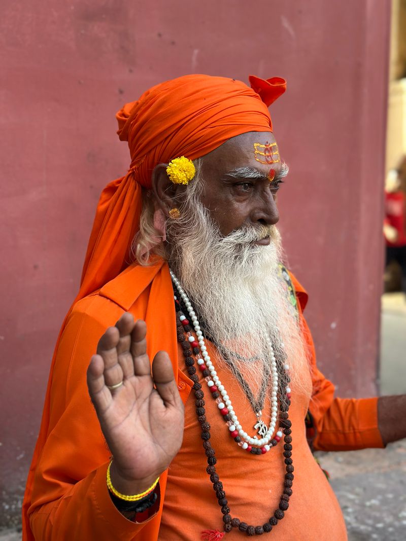 Hindu Guru Photos, Download The BEST Free Hindu Guru Stock Photos & HD ...