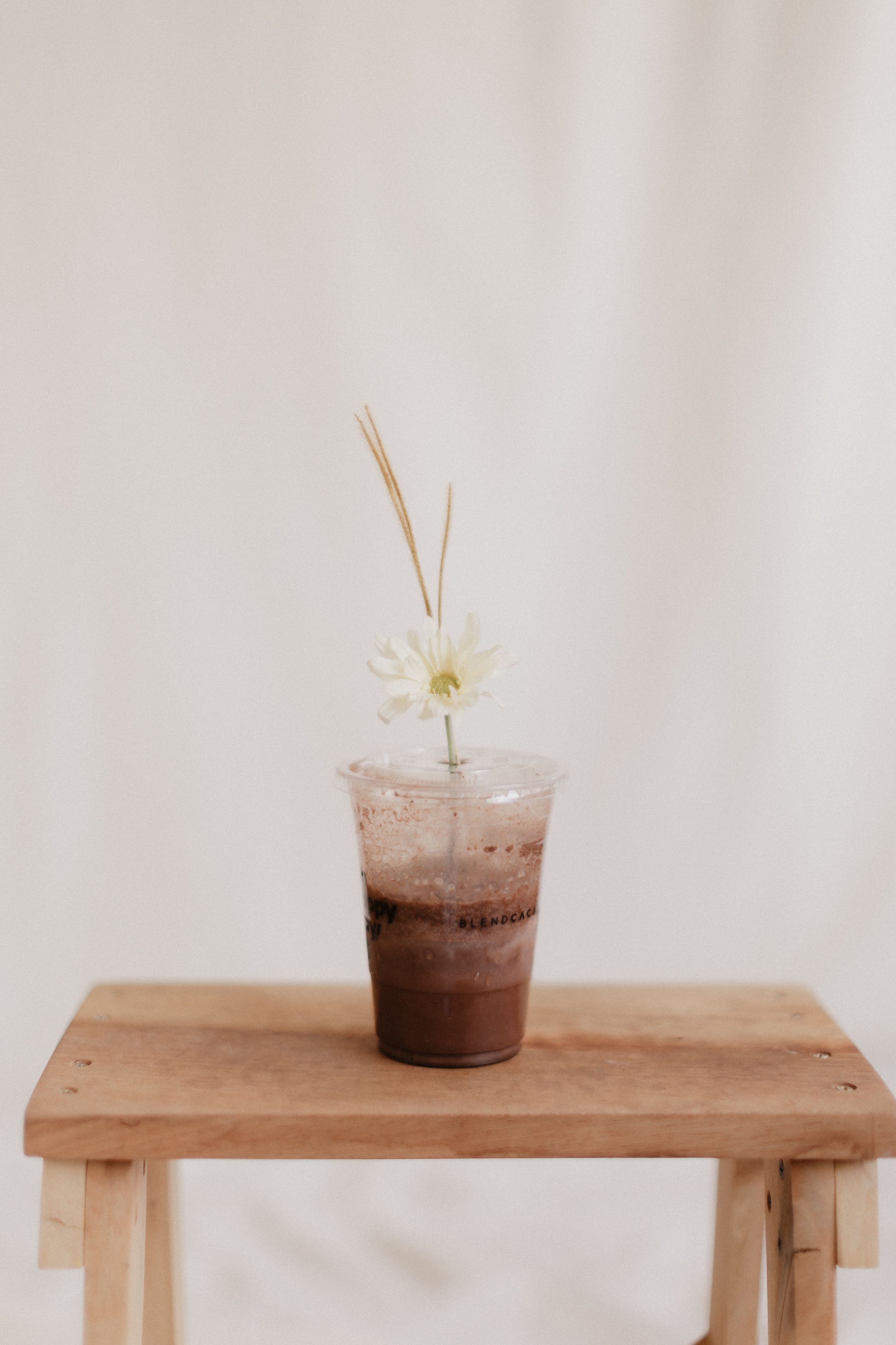 Minimalist Flower Arrangement in Plastic Cup · Free Stock Photo