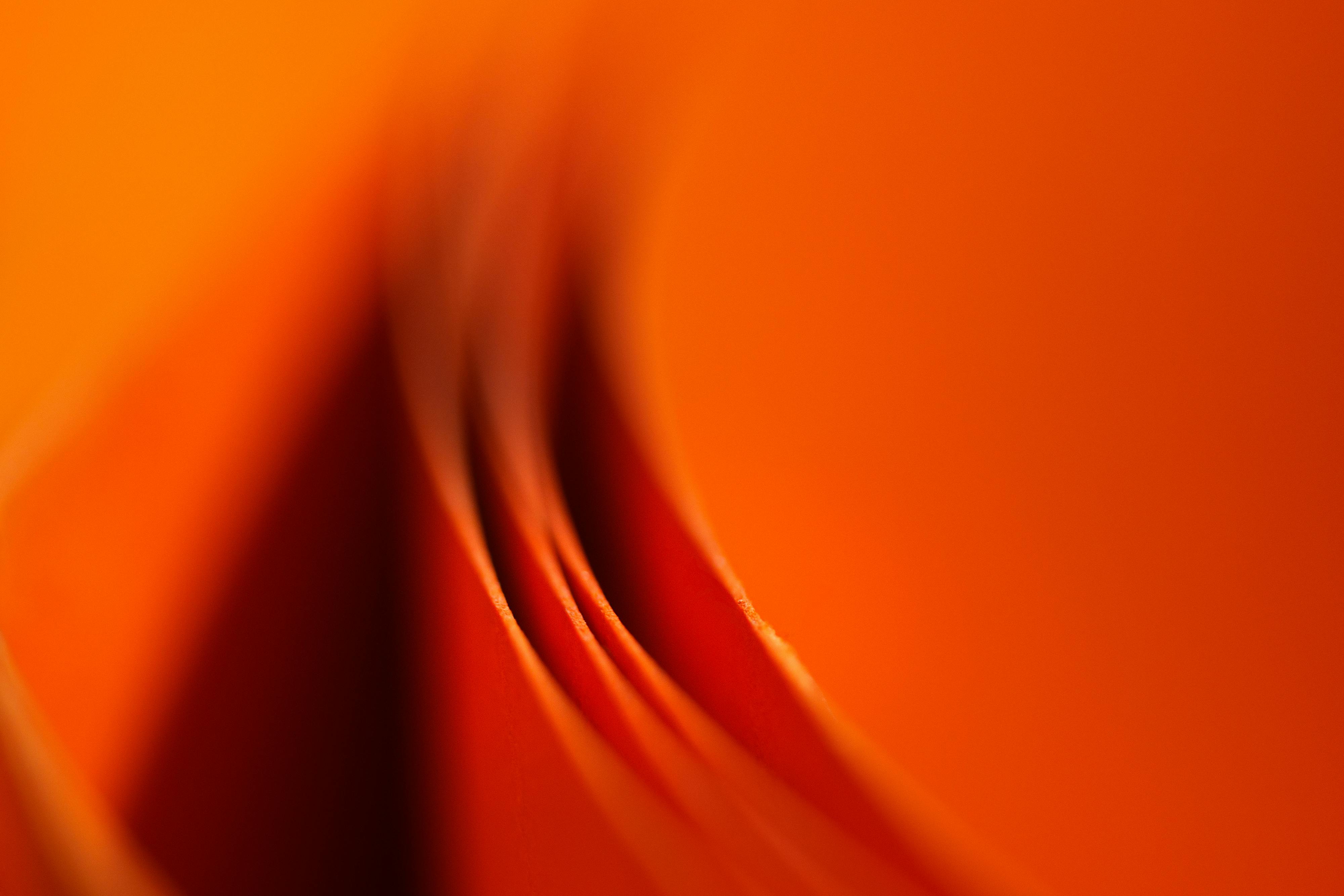Vivid Close-Up of Abstract Orange Shapes · Free Stock Photo