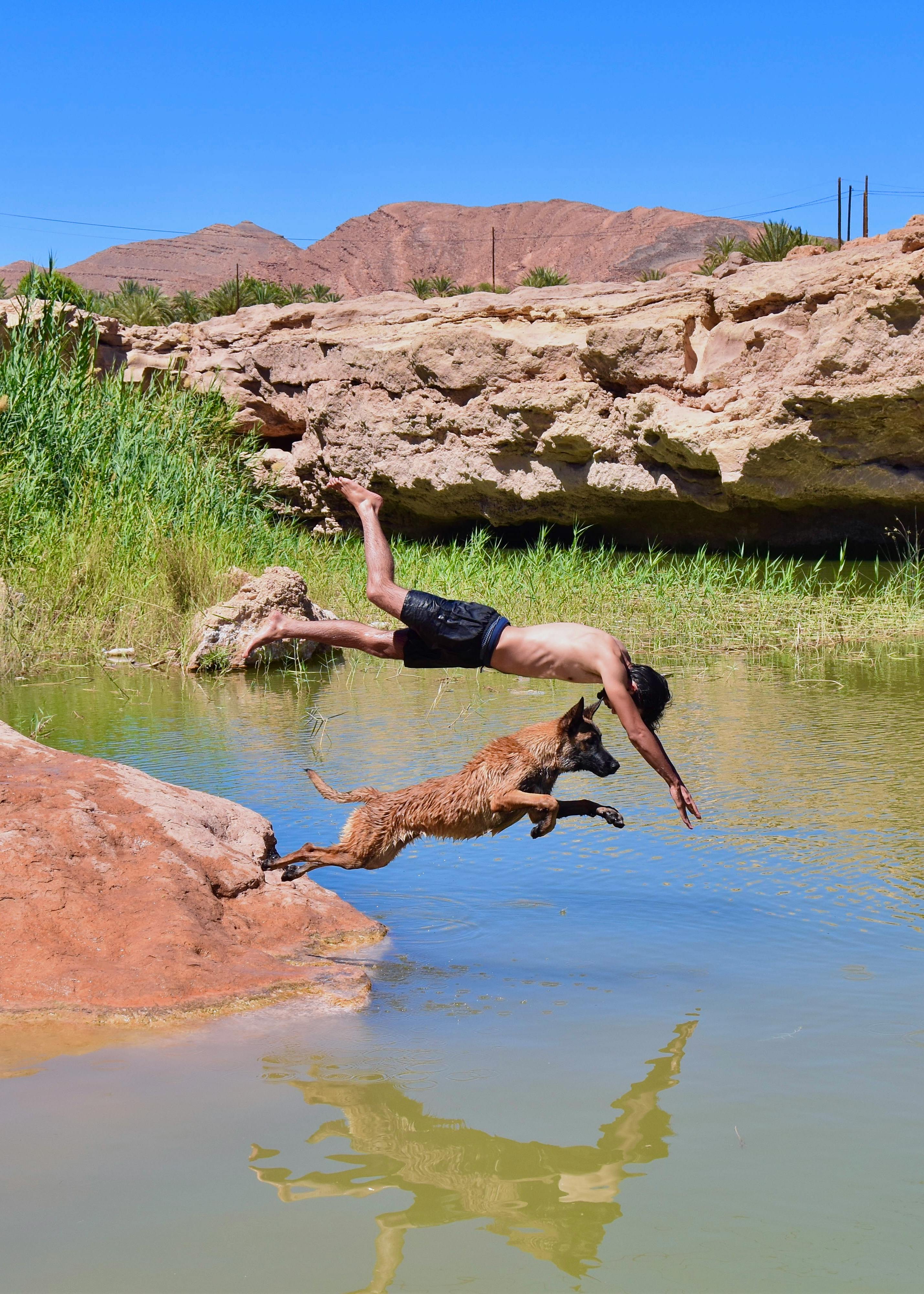 Man and Dog Diving into River Scenic Adventure · Free Stock Photo
