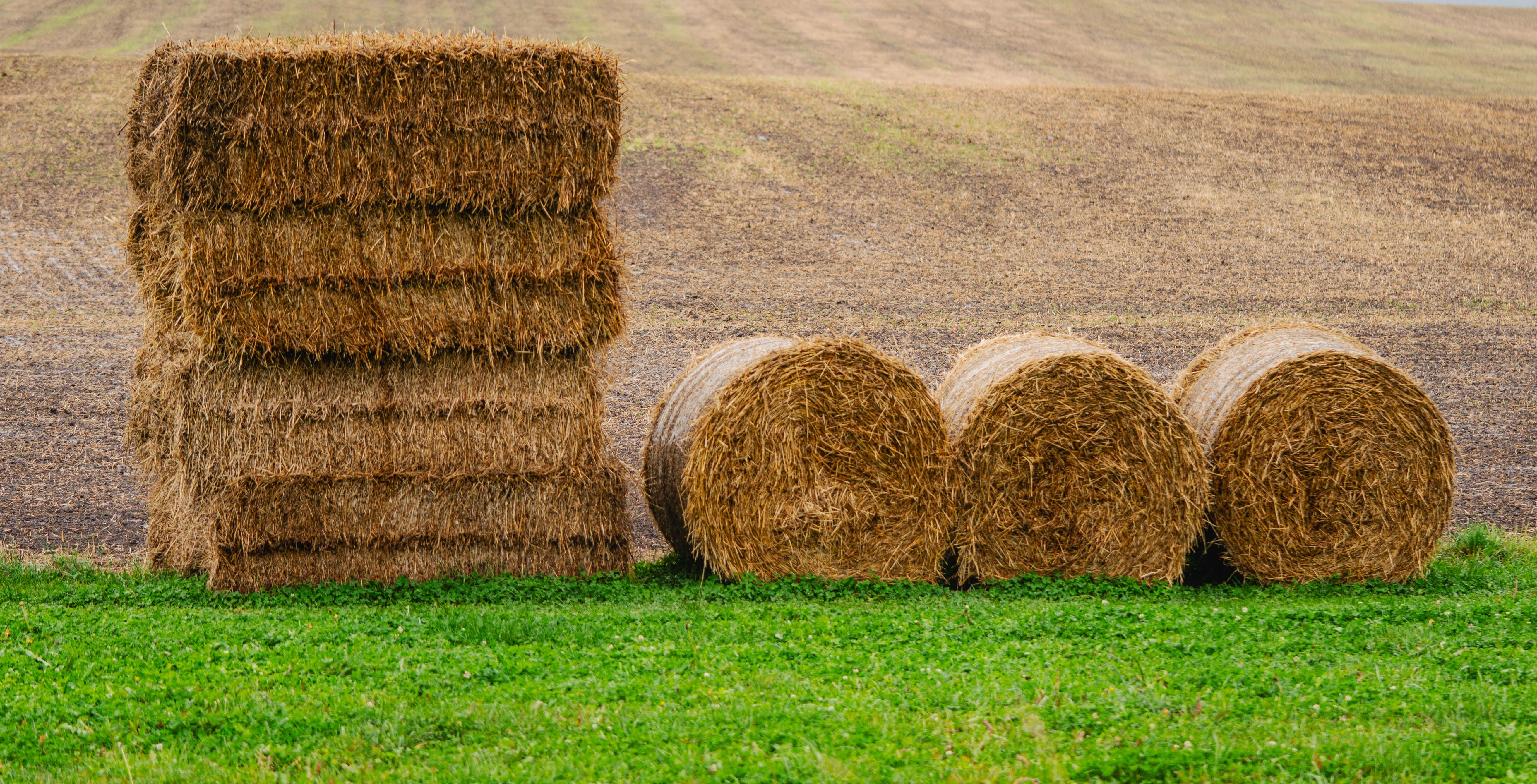Meules Et Rouleaux De Foin Dans Un Champ Agricole · Photo gratuite