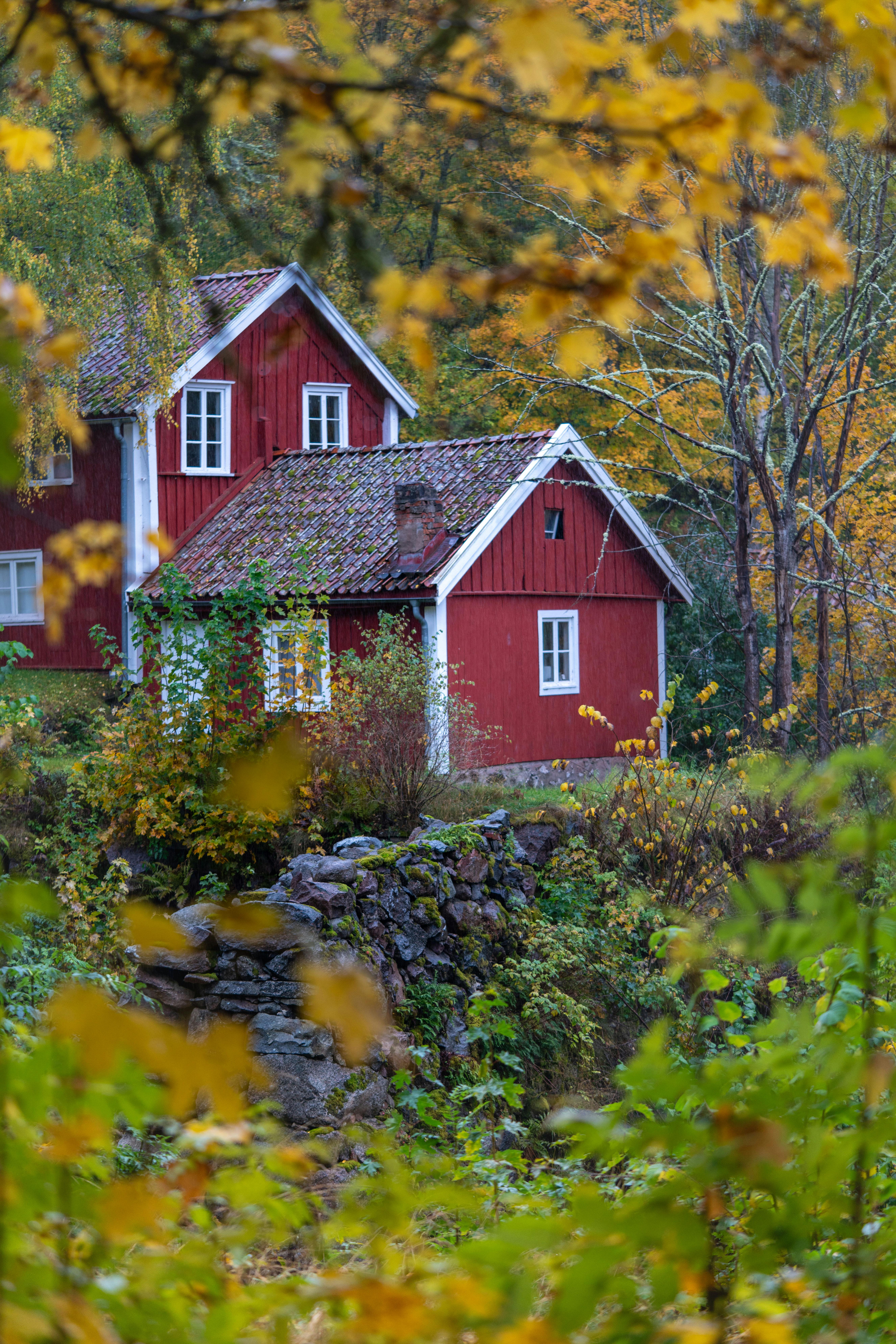 Charming Red Cottage in Fall Forest Setting · Free Stock Photo