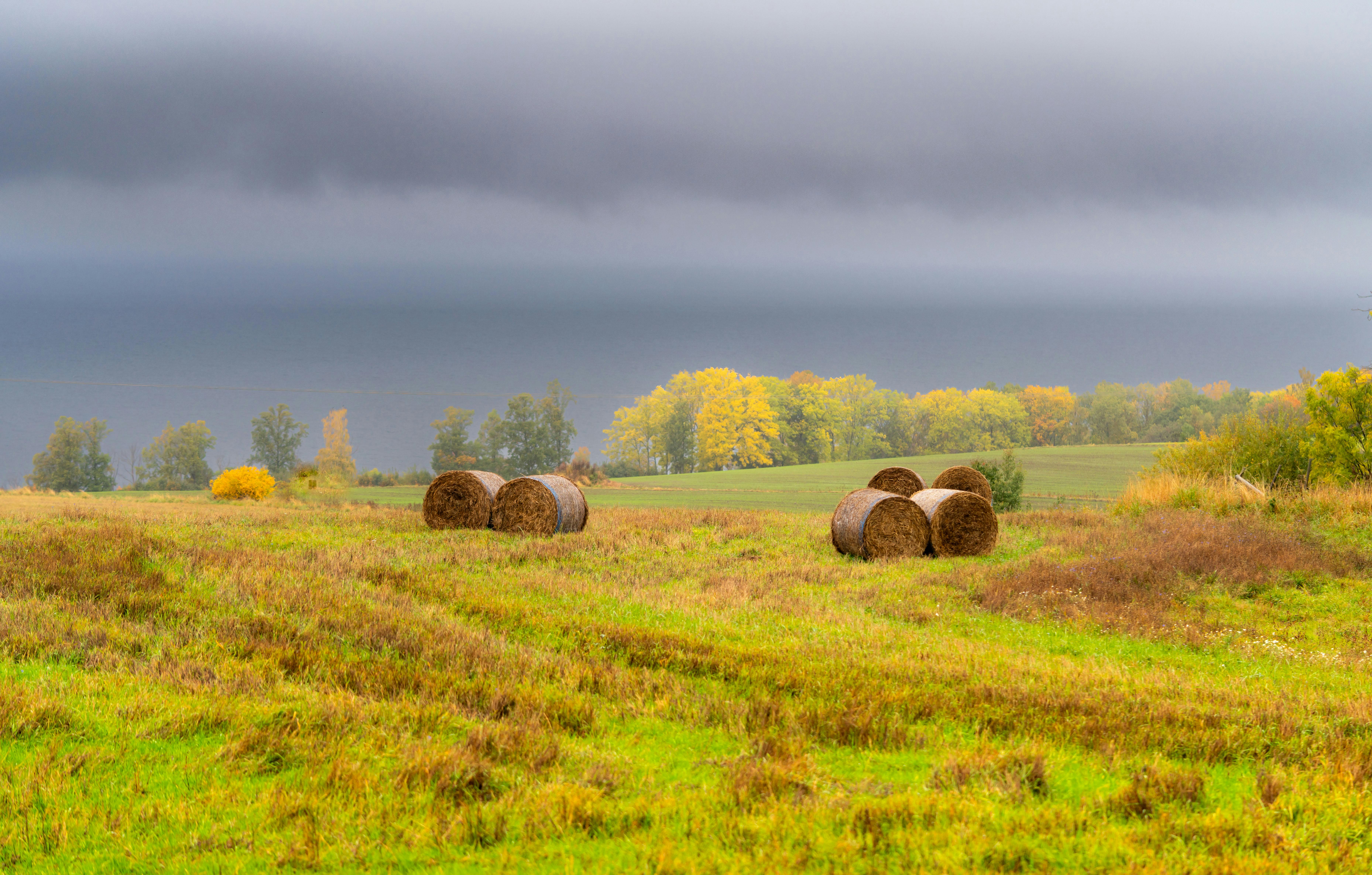 Rolling Hay Bales on a Cloudy Autumn Field · Free Stock Photo