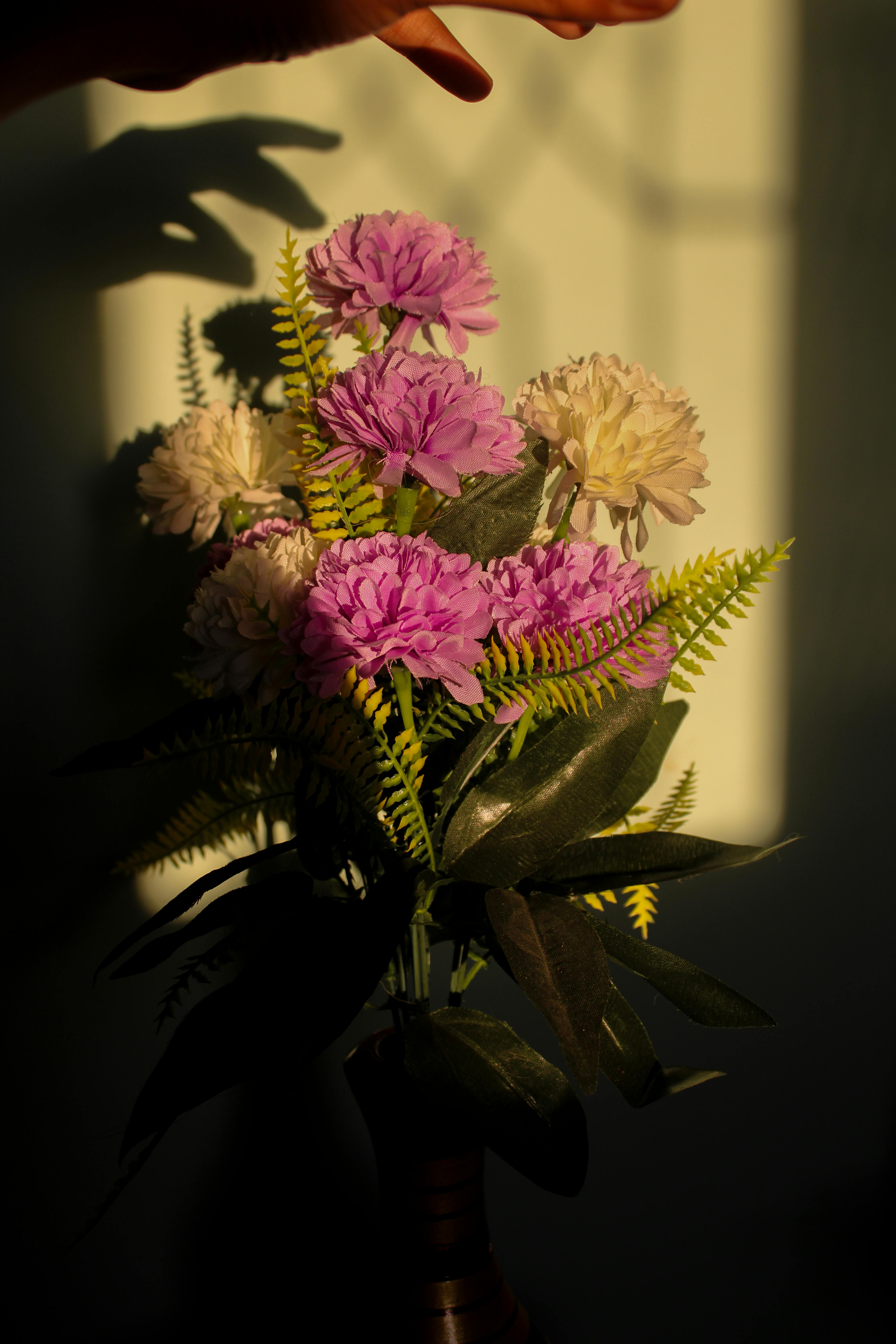 Moody Floral Arrangement with Shadow Play · Free Stock Photo