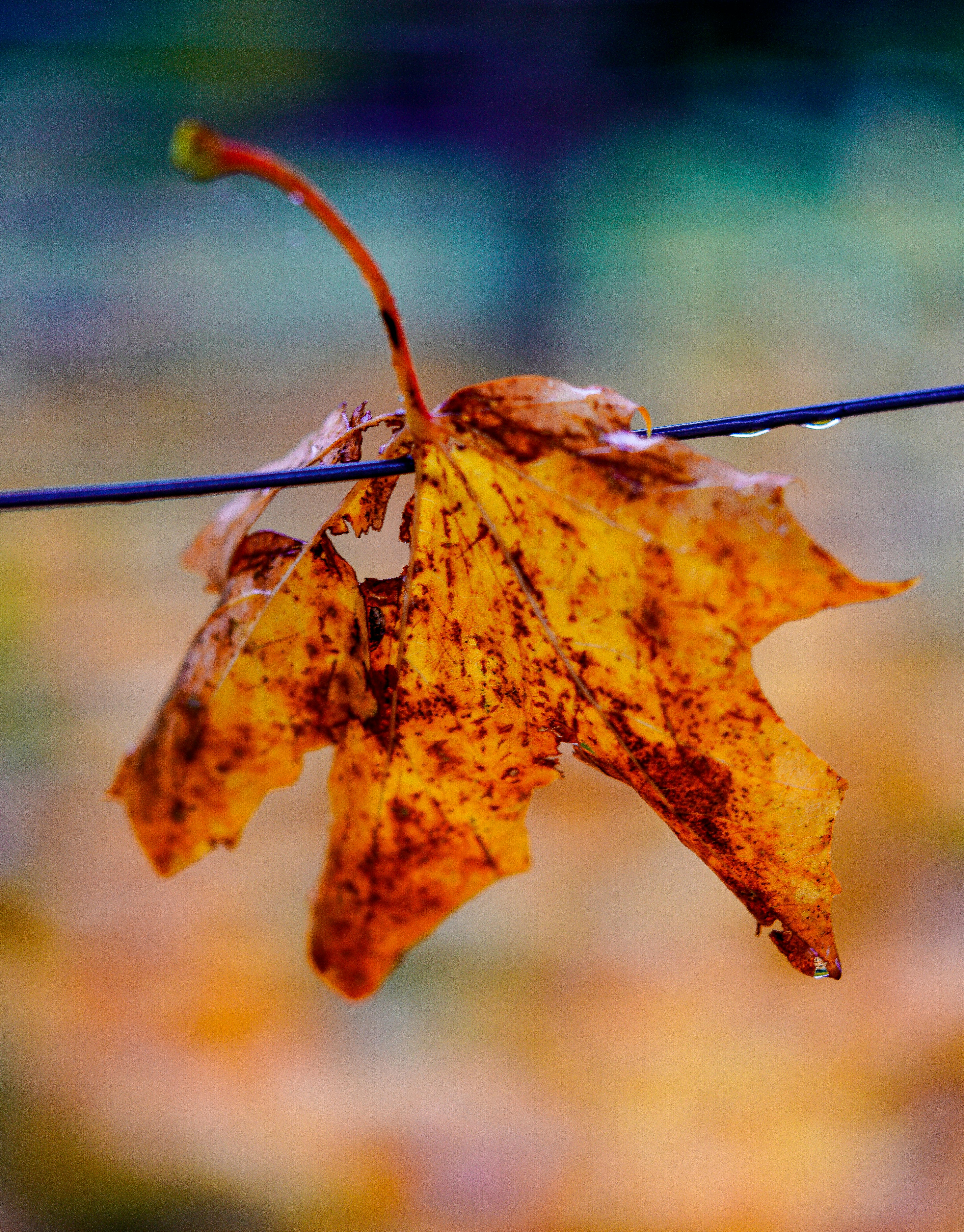 Mathematik Oct Photos, Download The BEST Free Mathematik Oct Stock ...