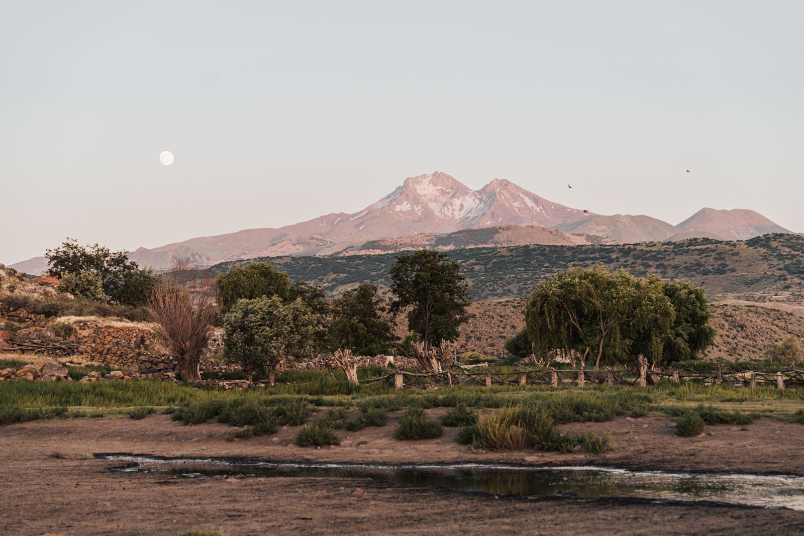 Facebook Moon Photos, Download The BEST Free Facebook Moon Stock Photos ...