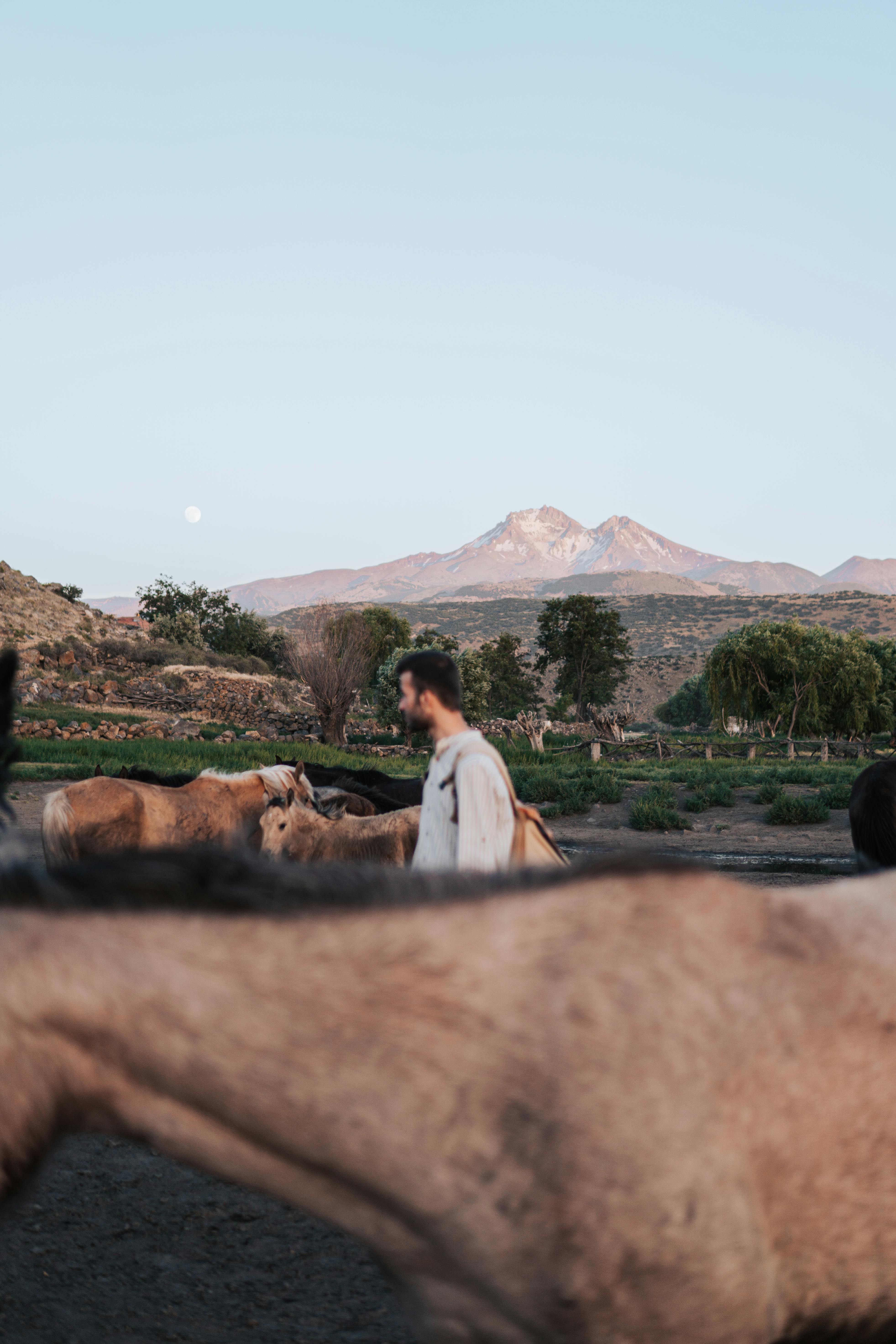 Wildlife and Human Harmony in Natural Landscape · Free Stock Photo