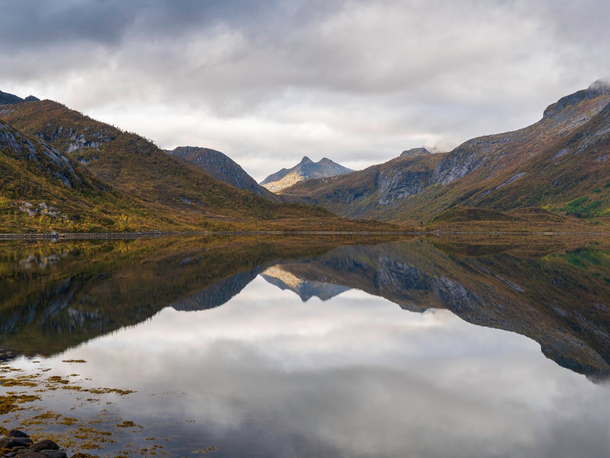 Reflections In Nature Photos, Download The BEST Free Reflections In ...