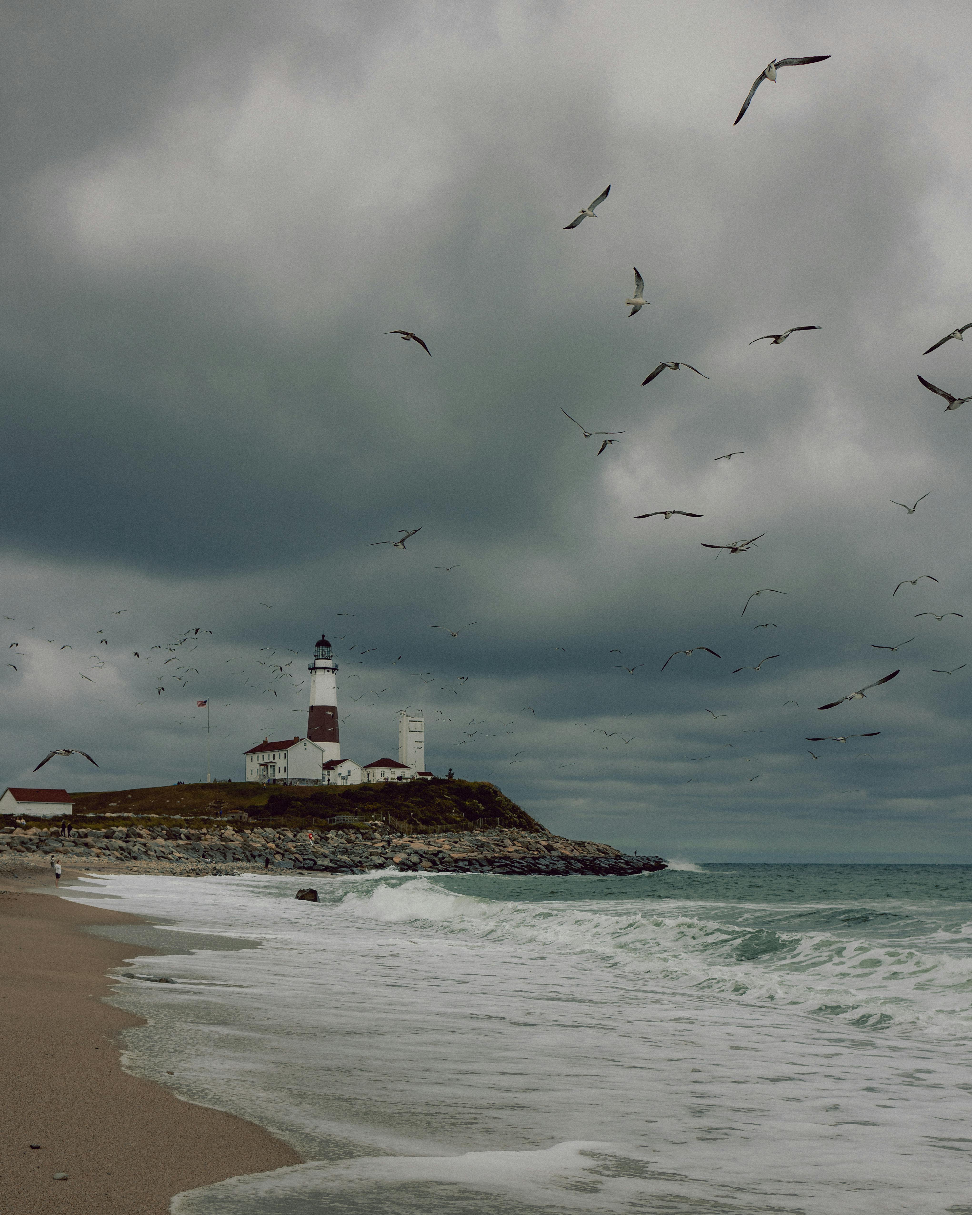 Dramatic Lighthouse Scene by a Stormy Coastline · Free Stock Photo