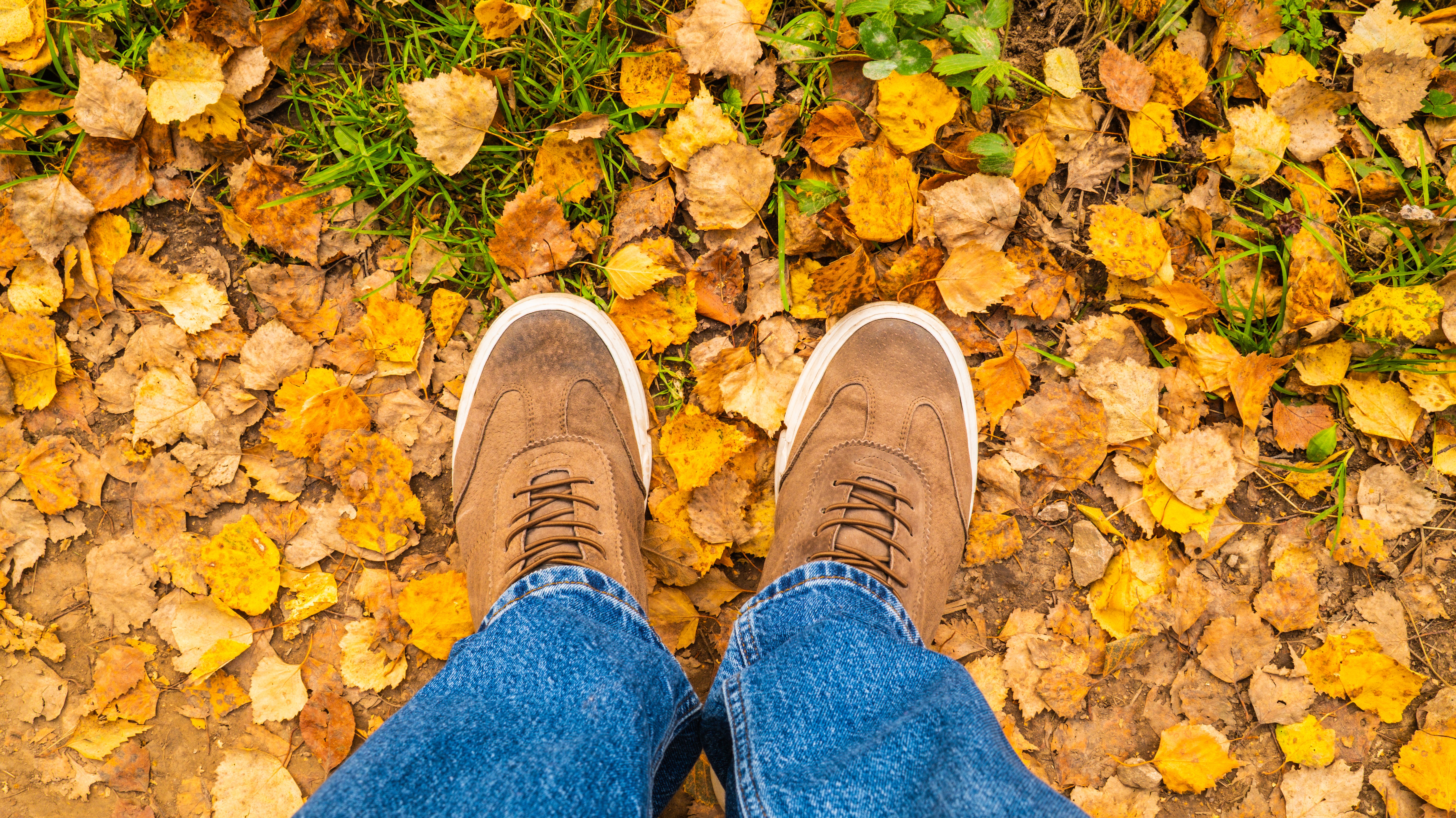 Feet in Brown Shoes on Autumn Leaves Path · Free Stock Photo