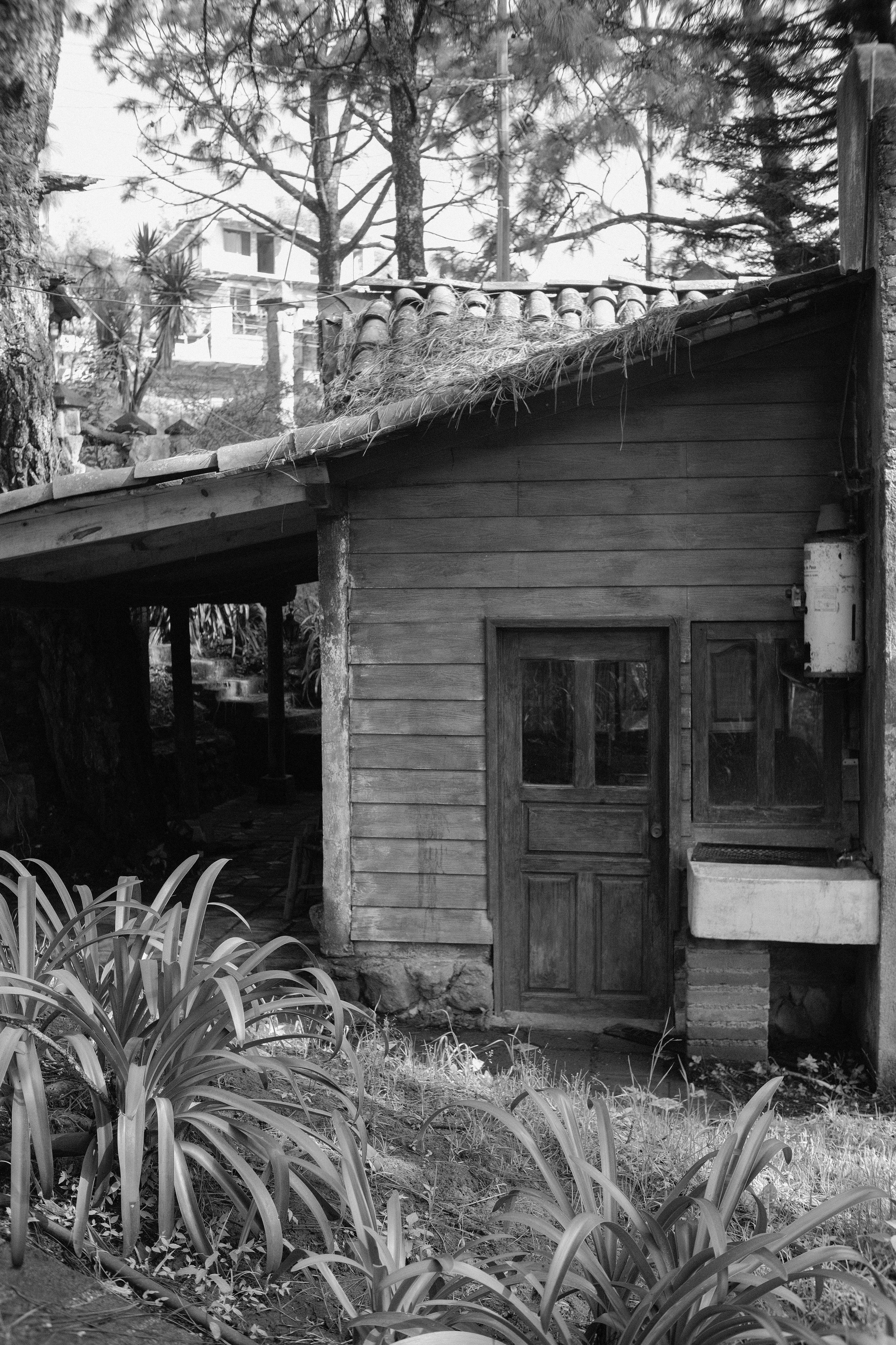 Rustic Wooden Cottage in Serene Forest Setting · Free Stock Photo