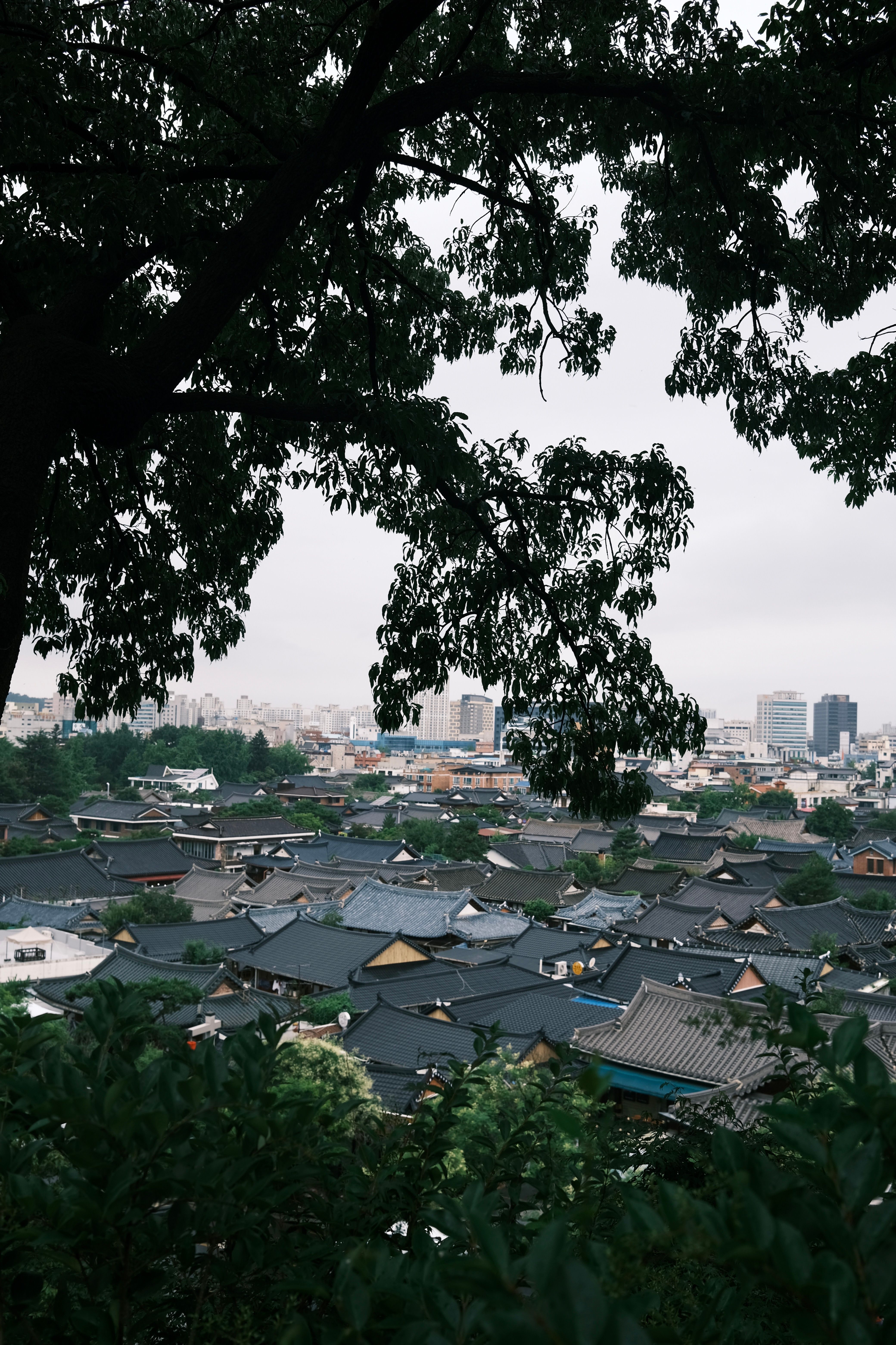 Traditional Hanok Village in Jeonju, South Korea · Free Stock Photo