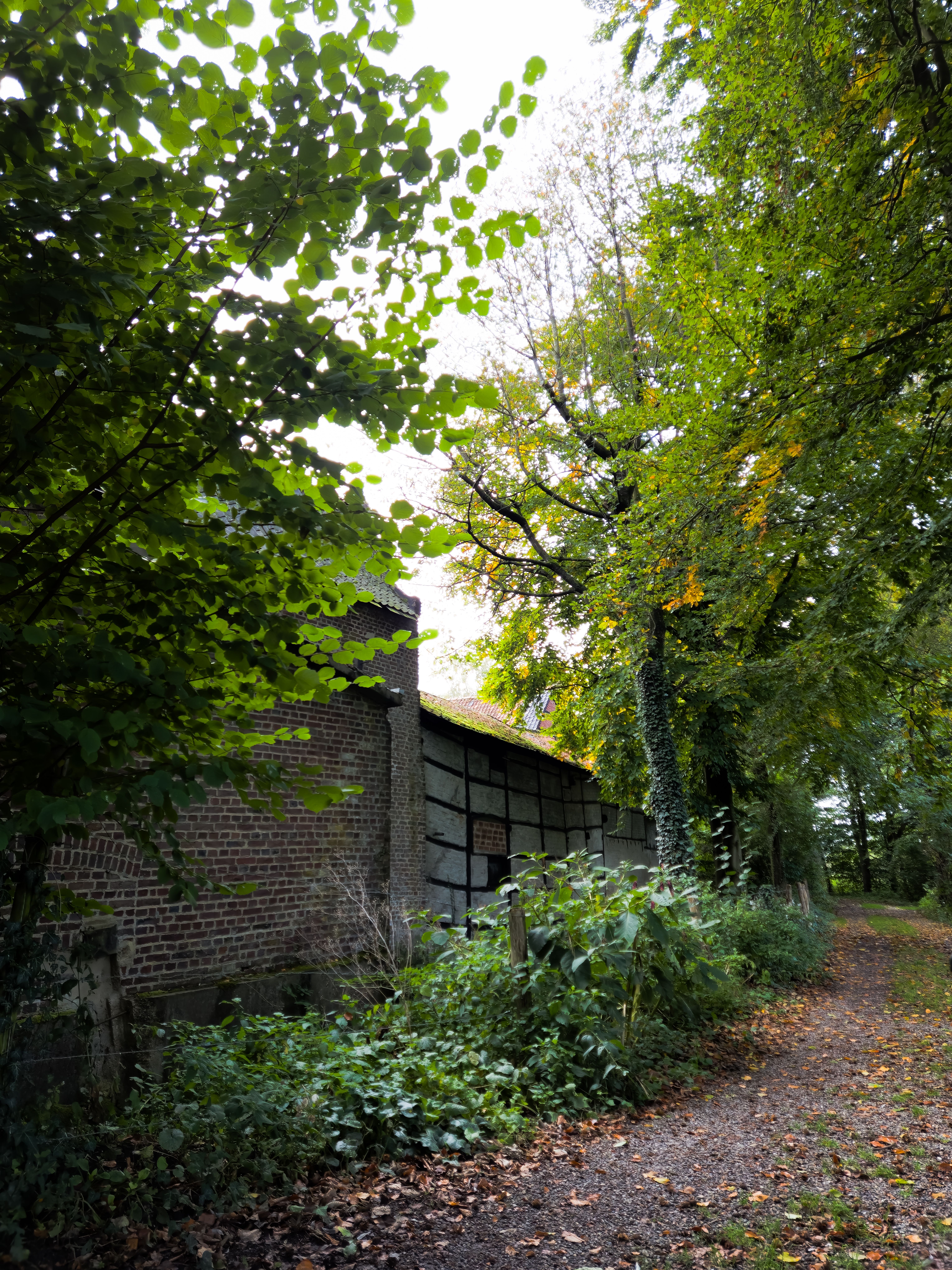 Secluded Brick House in Lush Forest Pathway · Free Stock Photo