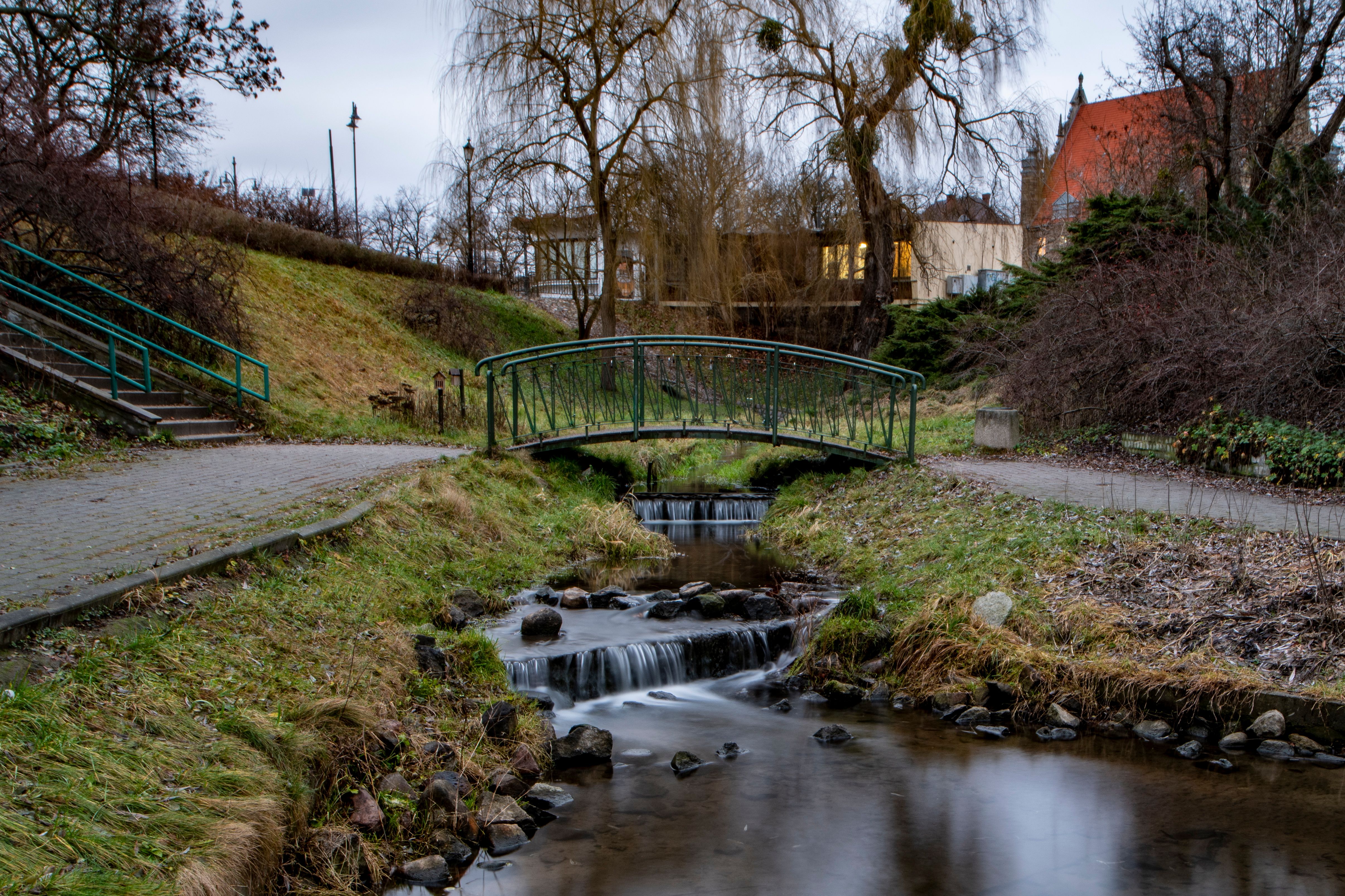 Tranquil Creek Under Footbridge in Urban Park · Free Stock Photo