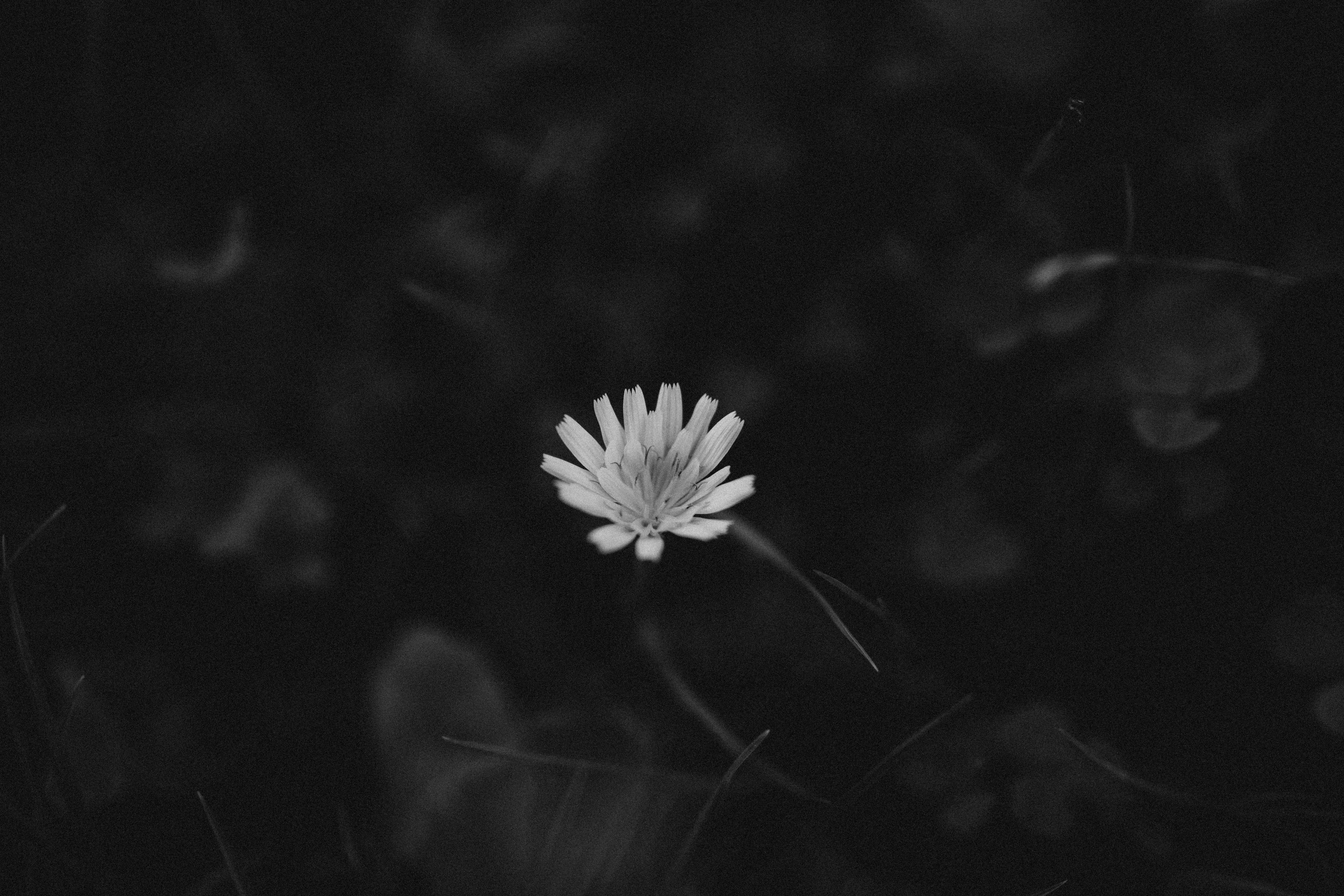 Form Animiert Photos, Download The BEST Free Form Animiert Stock Photos ...