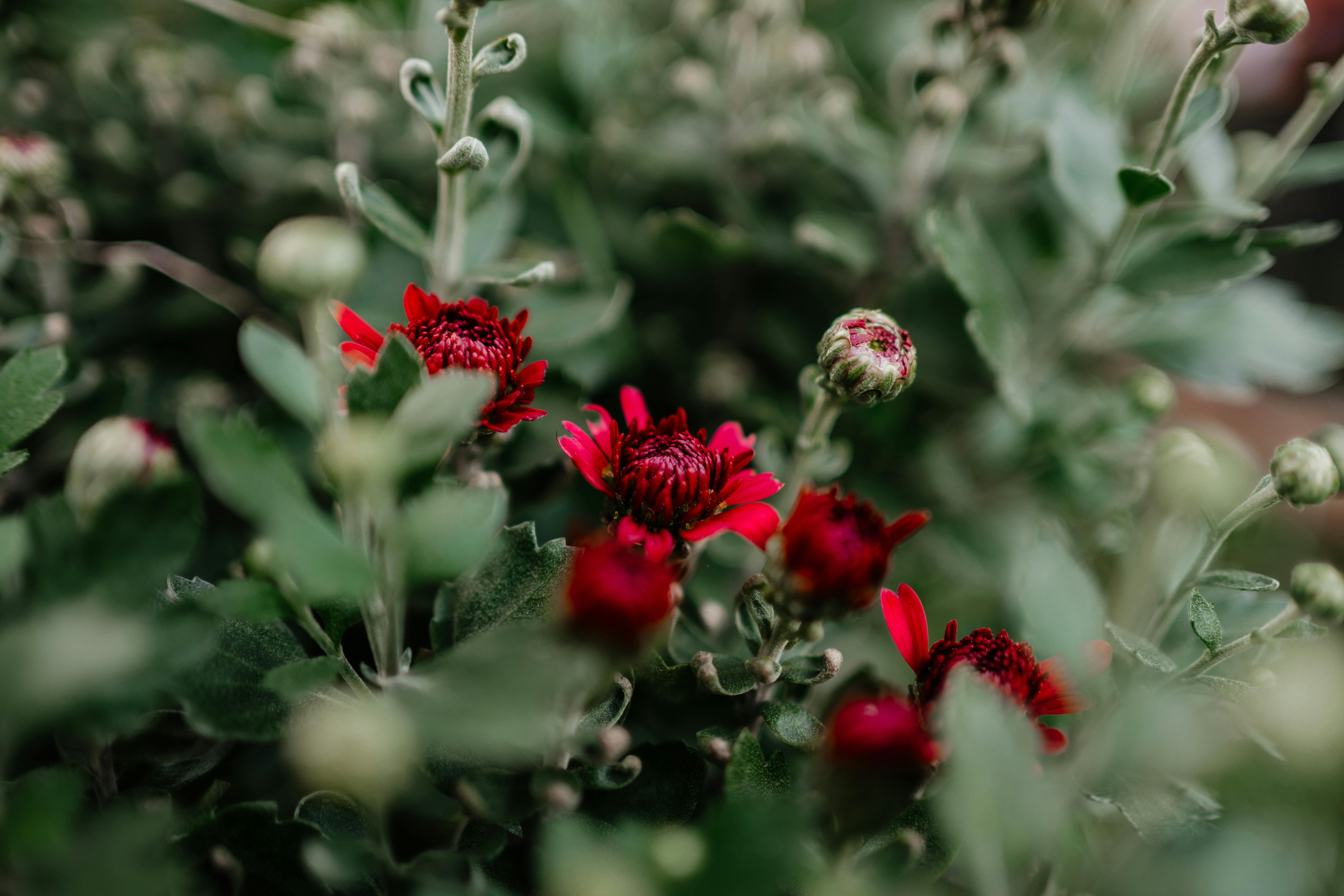 Gabriel Groza – fotografie