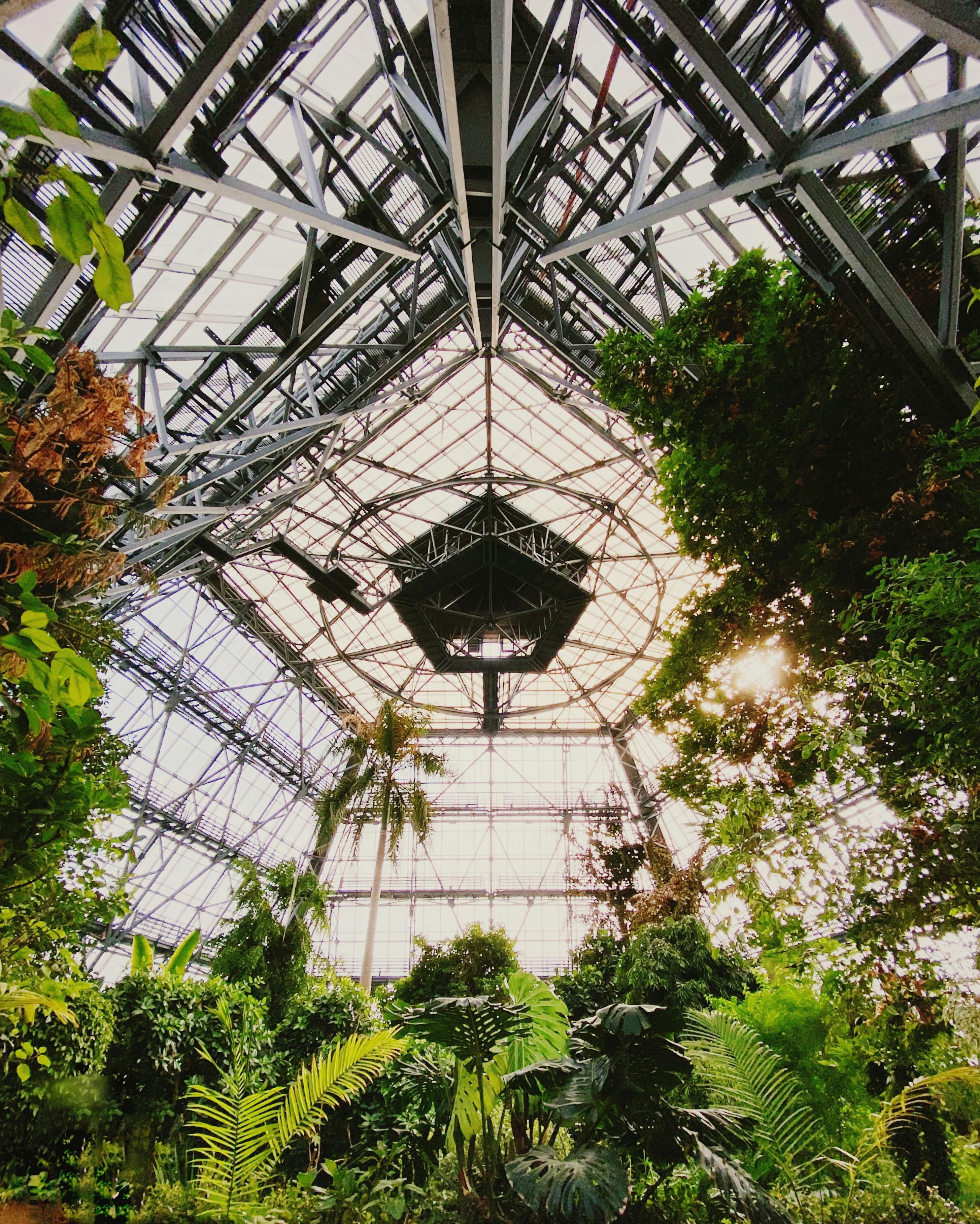 Plant Conservatory Photos, Download The BEST Free Plant Conservatory ...