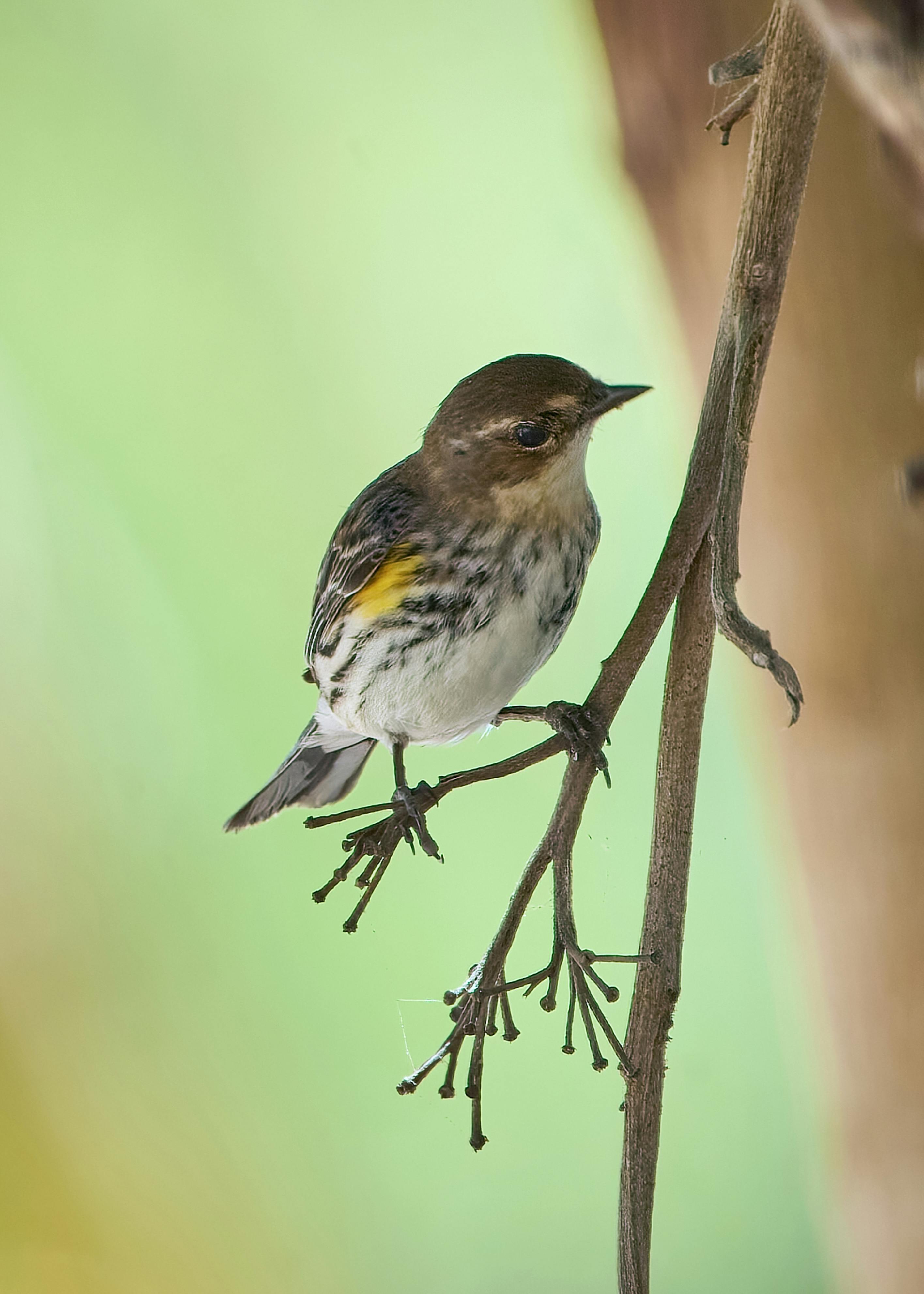 Small Size Photos, Download The BEST Free Small Size Stock Photos & HD ...