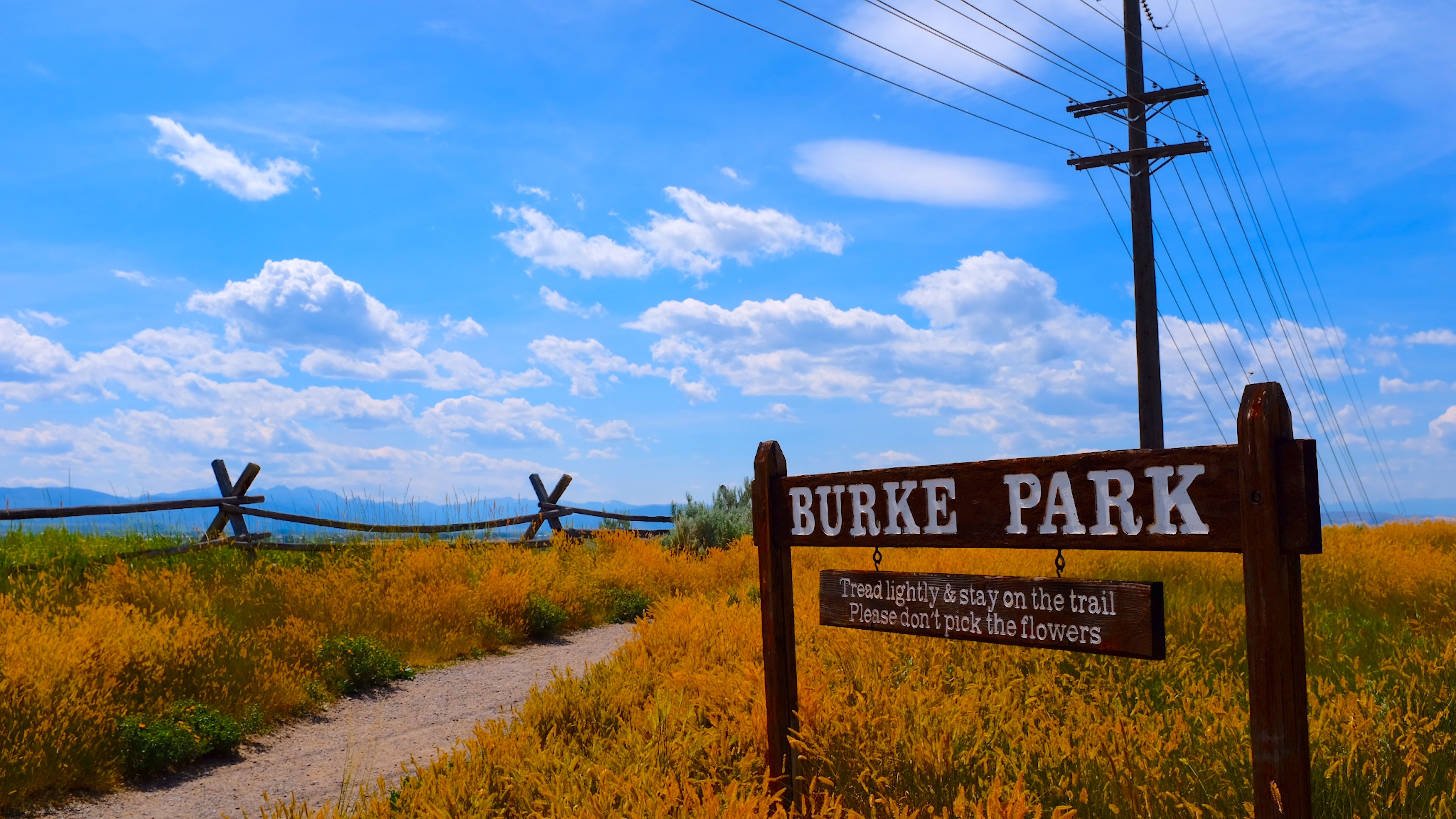 Scenic Burke Park Pathway with Blue Skies · Free Stock Photo