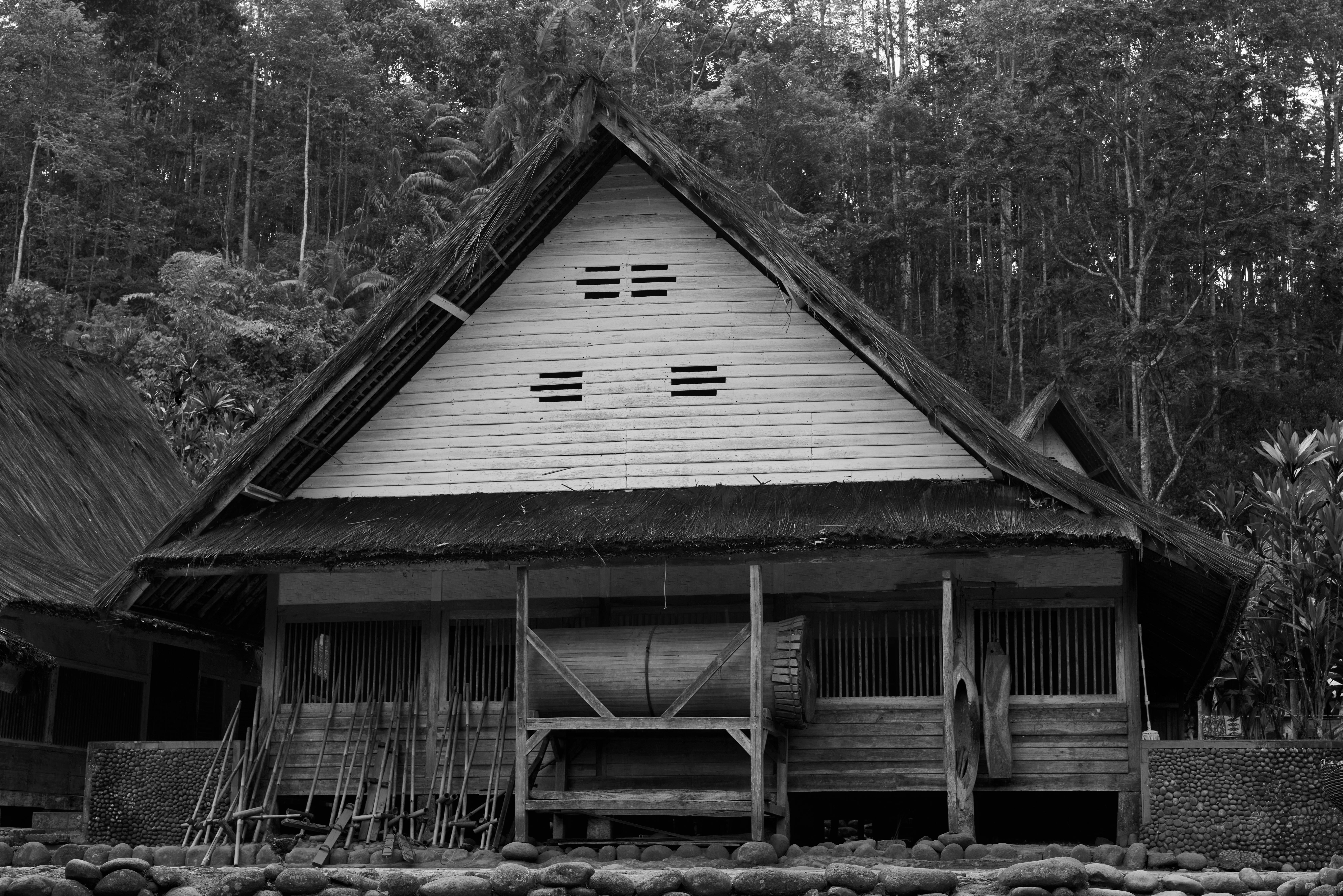 Traditional Southeast Asian Wooden House in Forest · Free Stock Photo