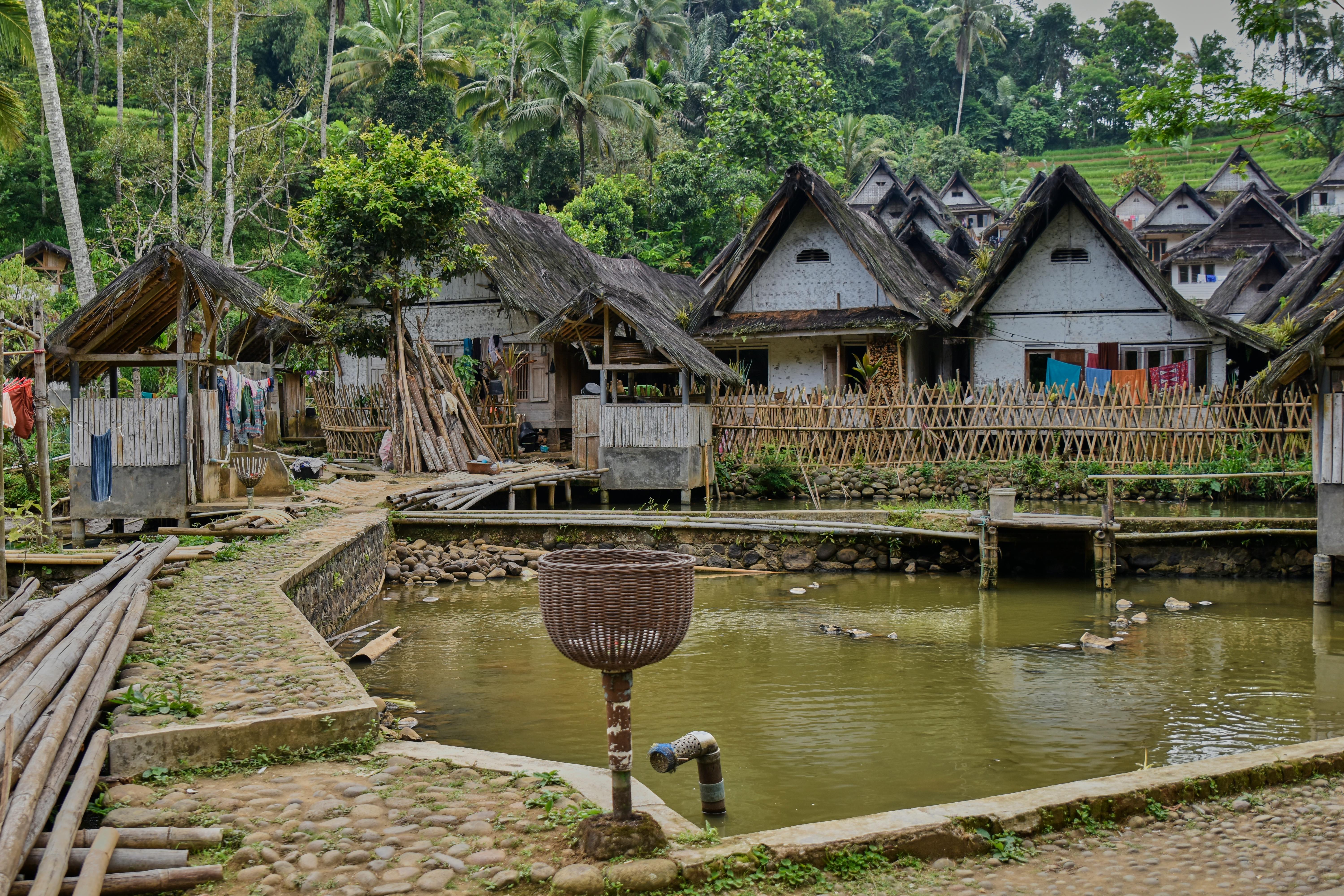 Traditional Village Houses with Thatch Roofs · Free Stock Photo