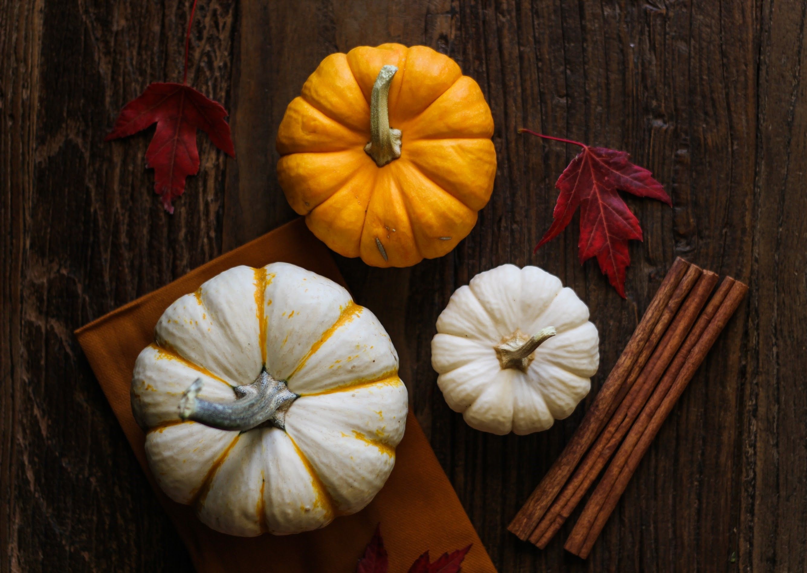Autumn Still Life with Pumpkins and Leaves · Free Stock Photo