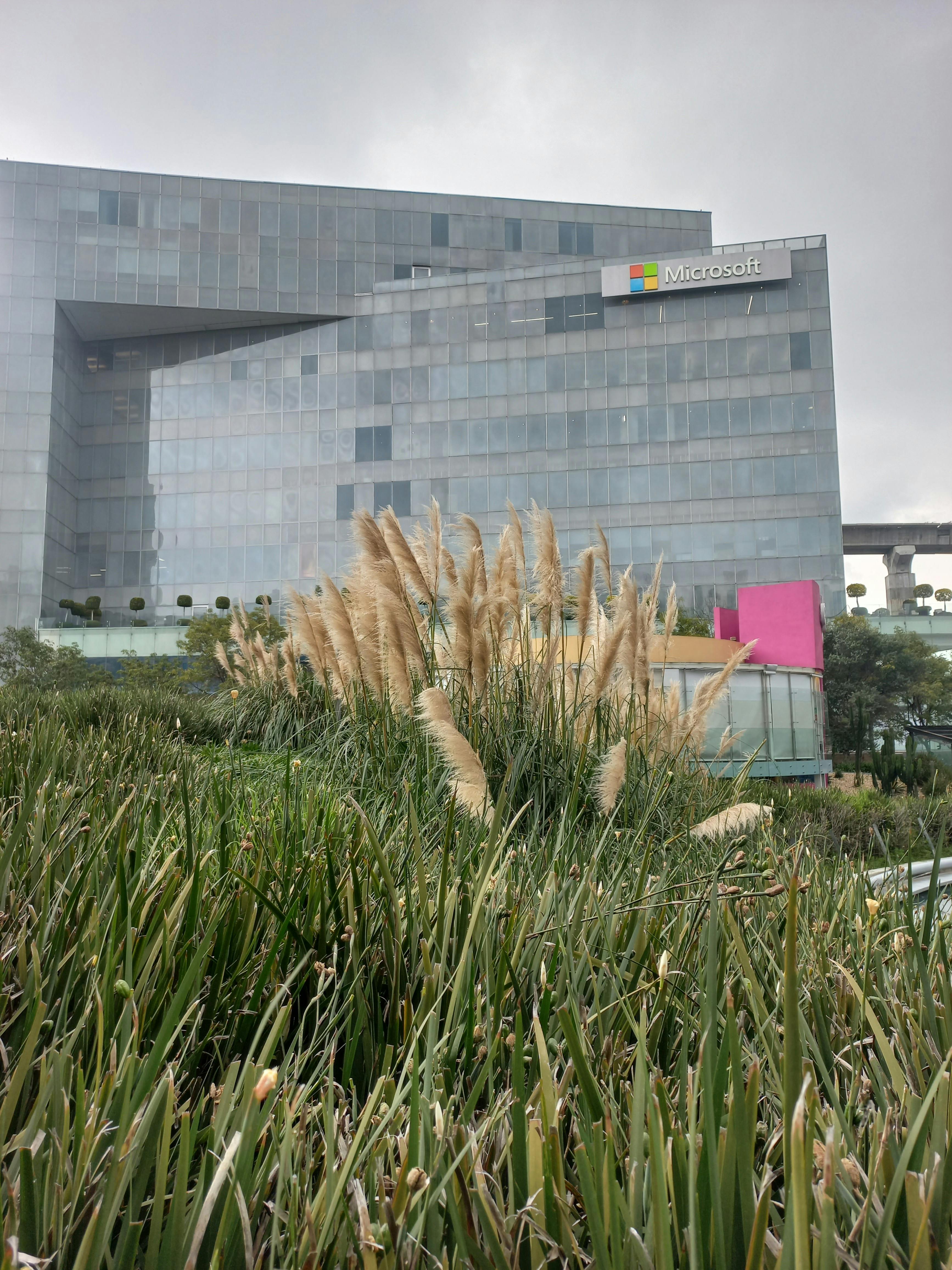 Microsoft Landscape Photos, Download The BEST Free Microsoft Landscape ...