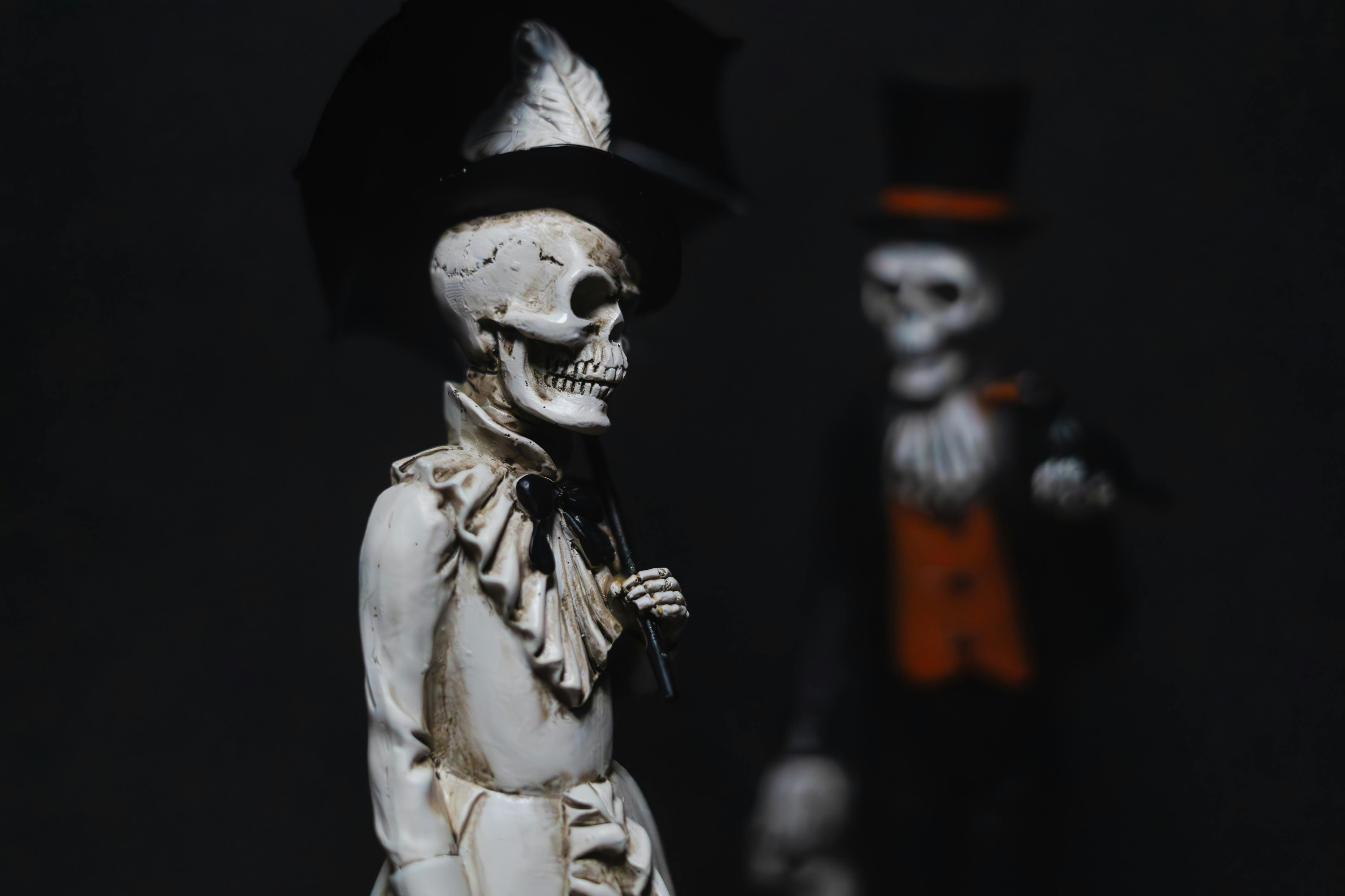 Elegant Skeleton Figures with Umbrella · Free Stock Photo