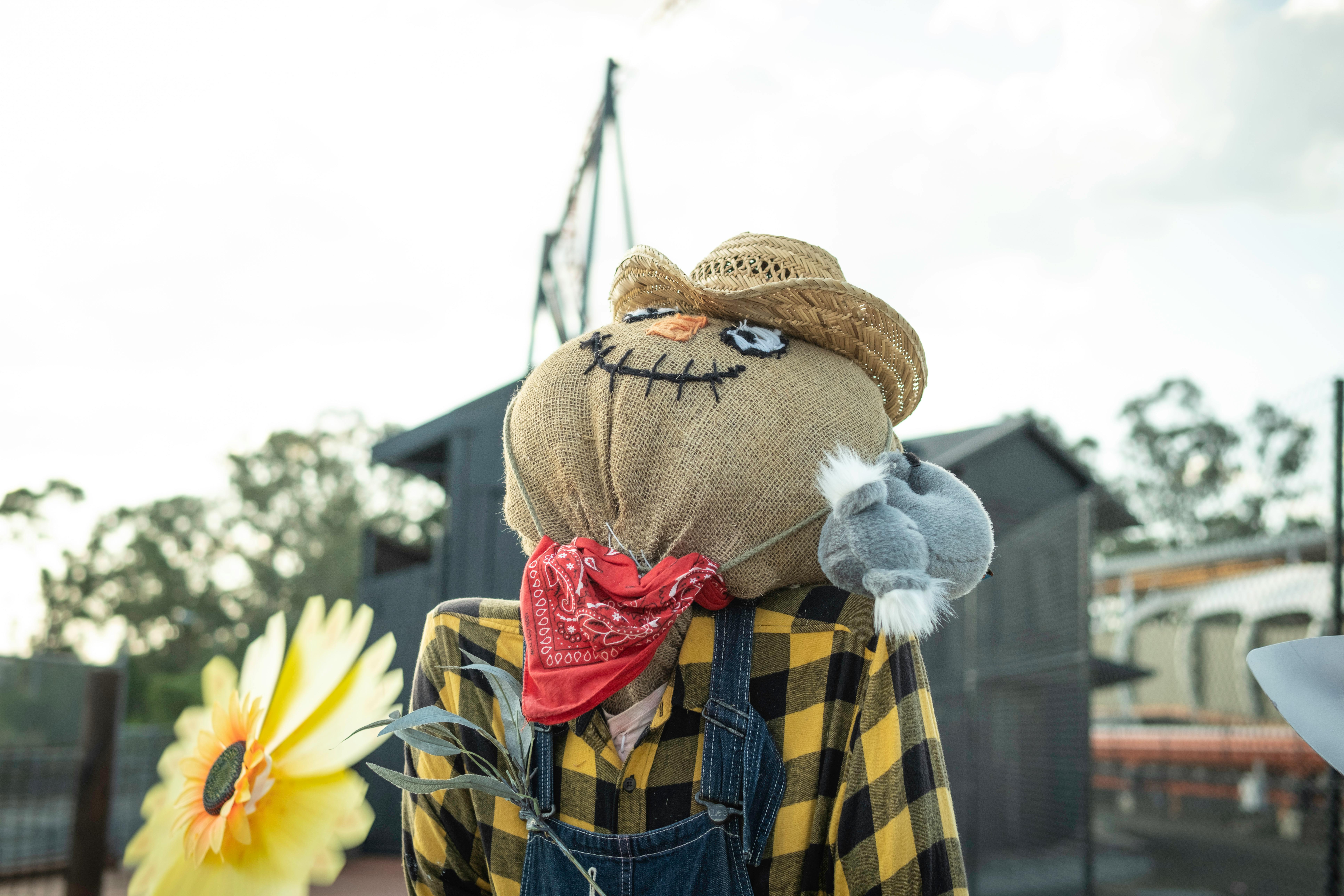 Whimsical Scarecrow in Outdoor Setting · Free Stock Photo