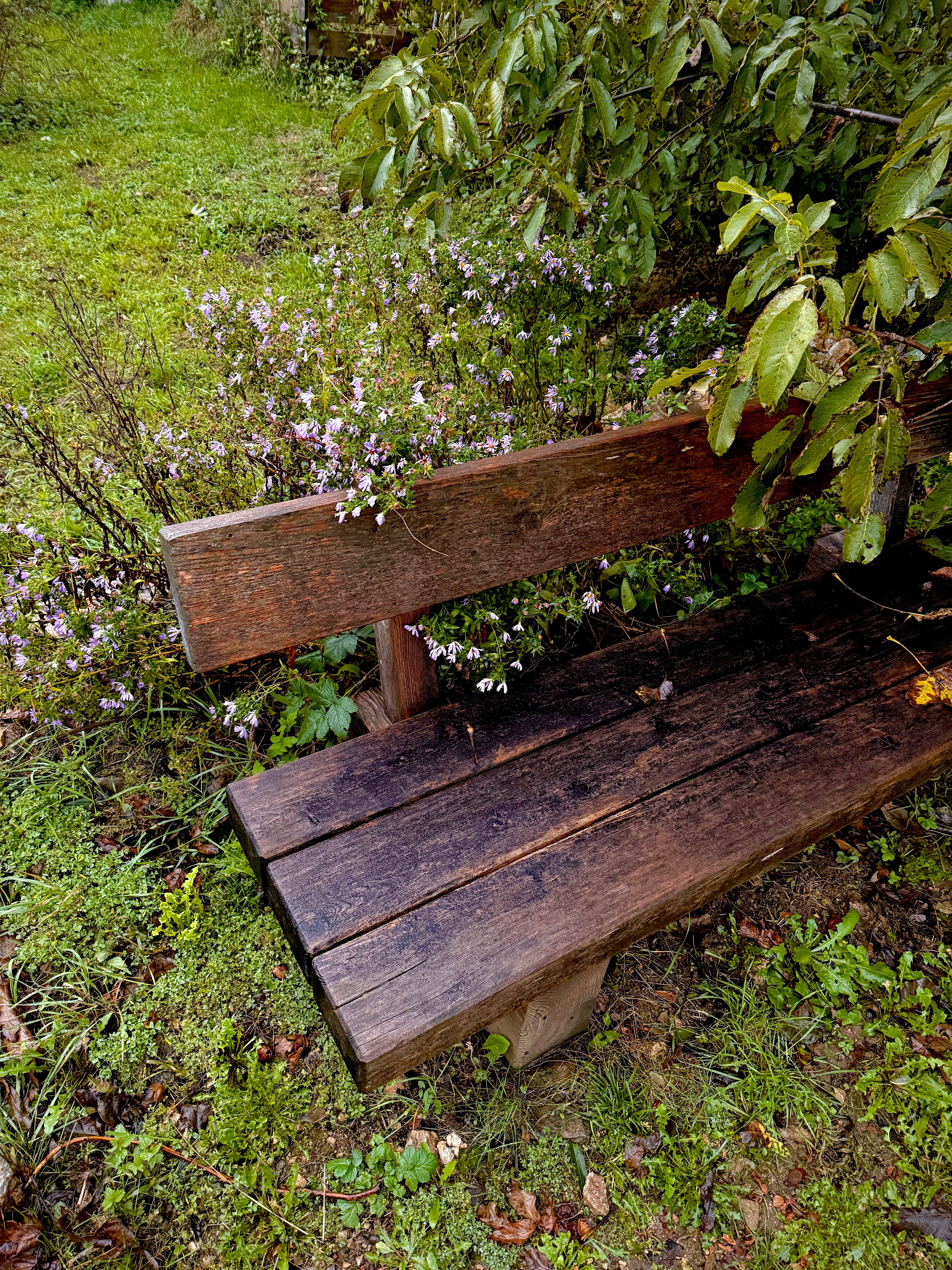 300.000+ Green Page Bilder und Fotos · Kostenlos Downloaden · Pexels ...
