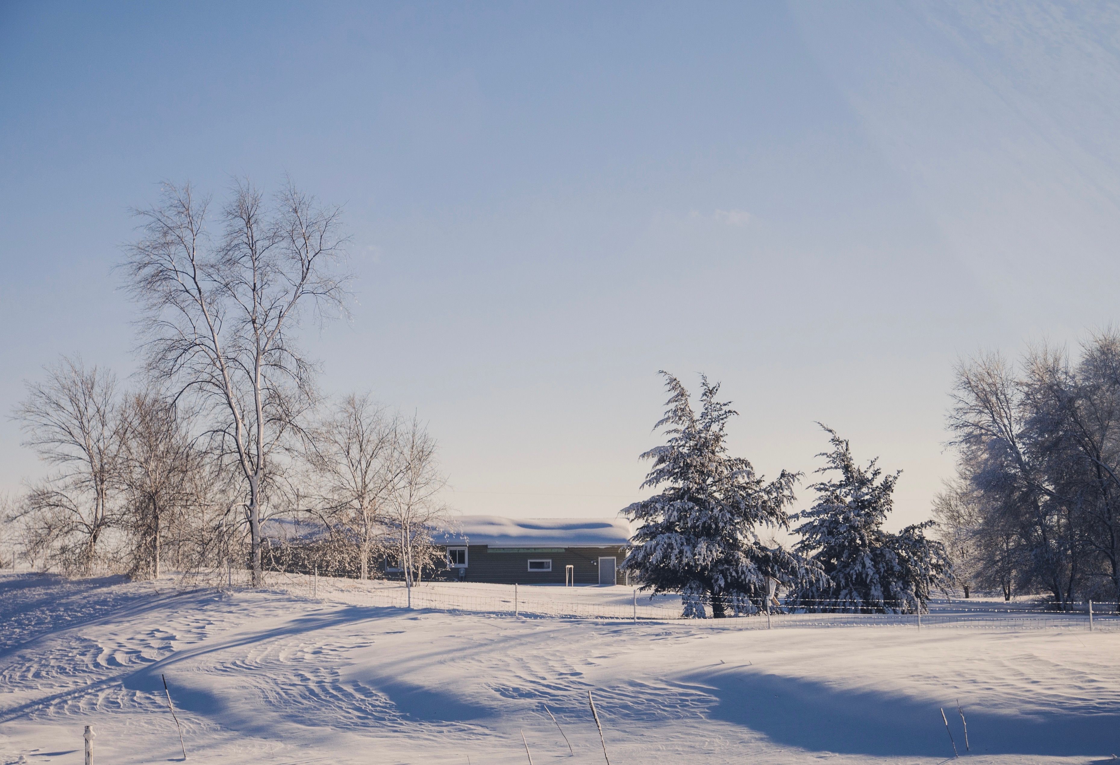 Snow-Covered Countryside Landscape in Winter · Free Stock Photo