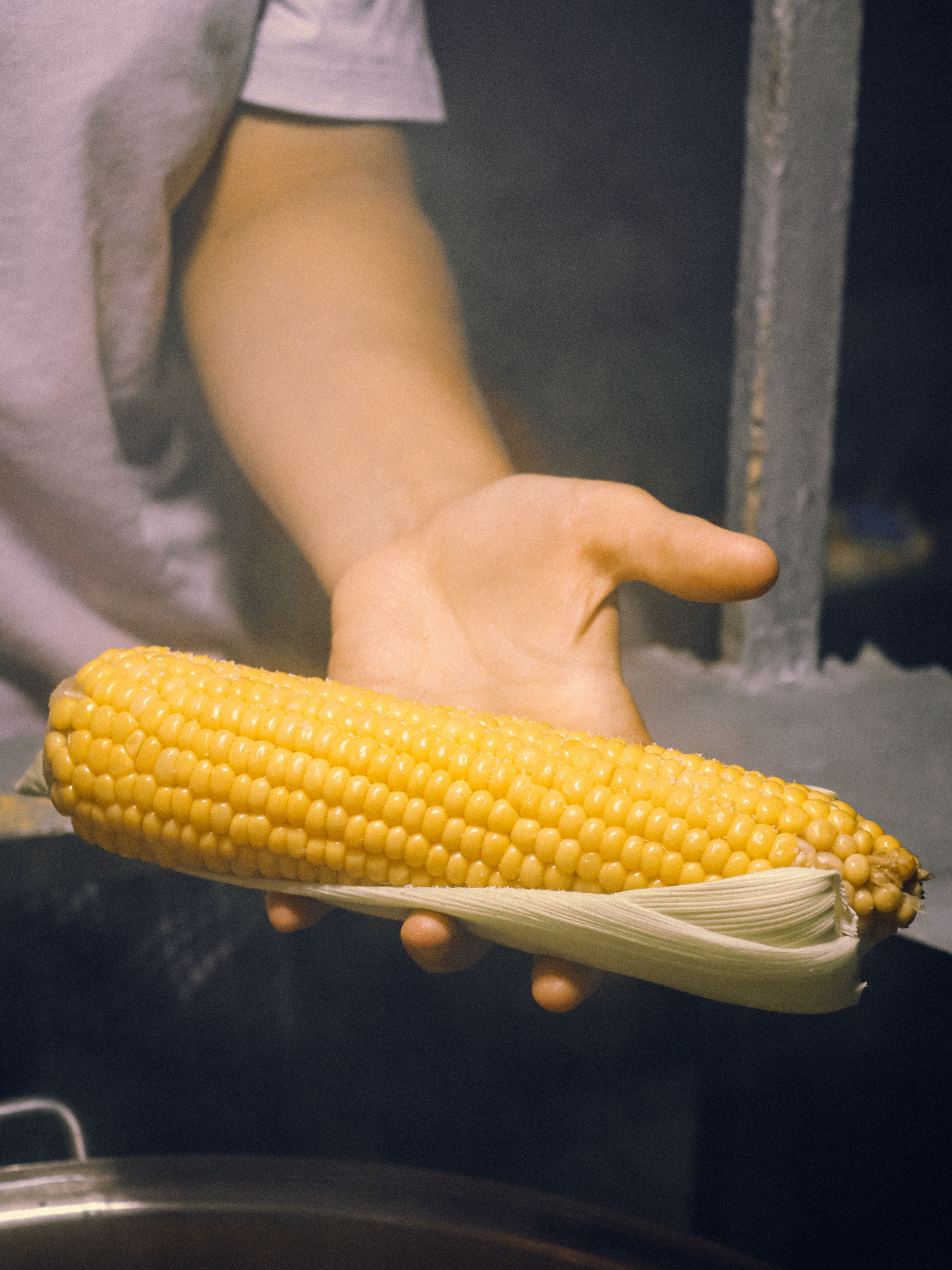 Fresh Corn on the Cob in Hand, Market Scene · Free Stock Photo