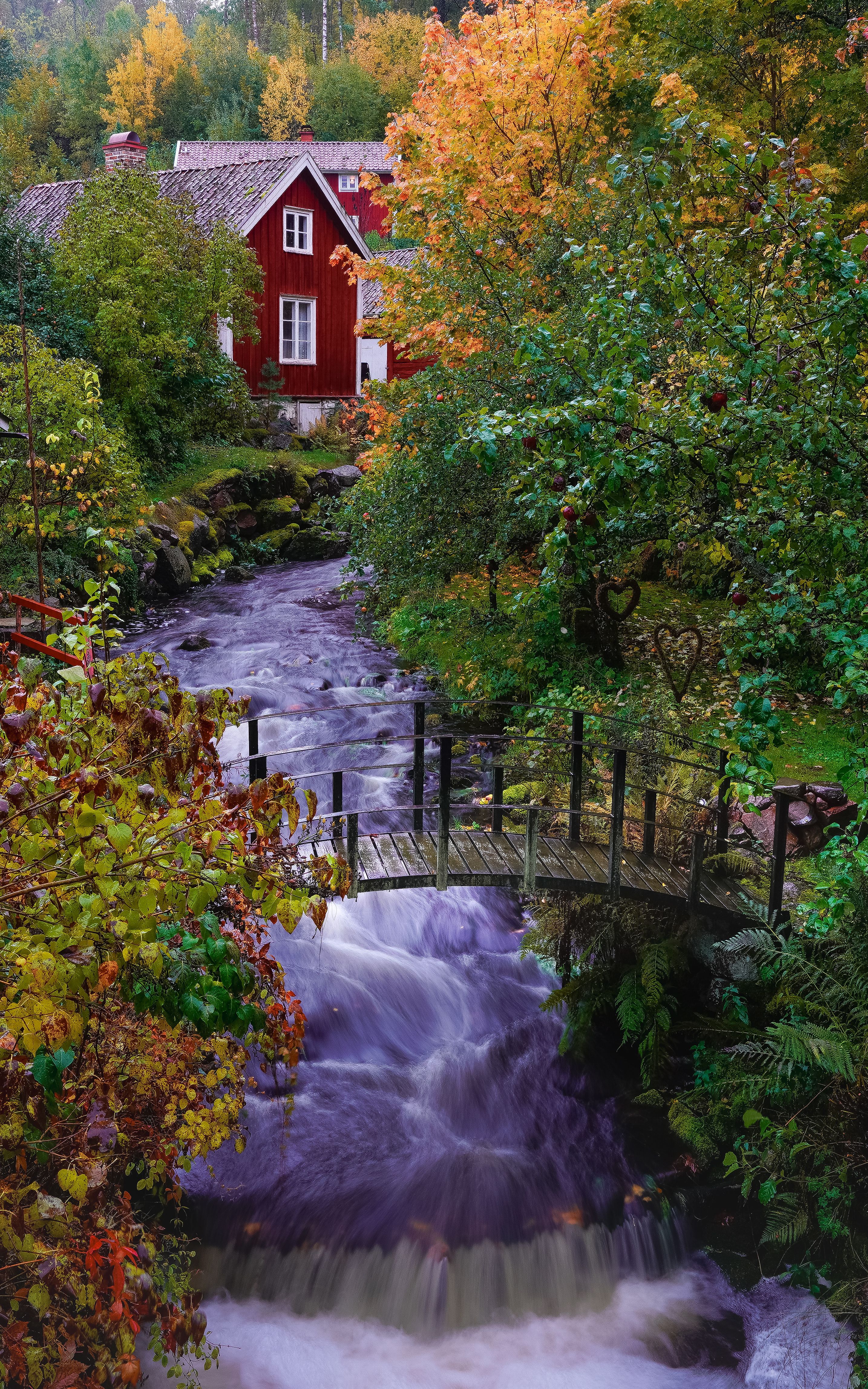 Idyllic Swedish Cottage by a Flowing Stream in Autumn · Free Stock Photo