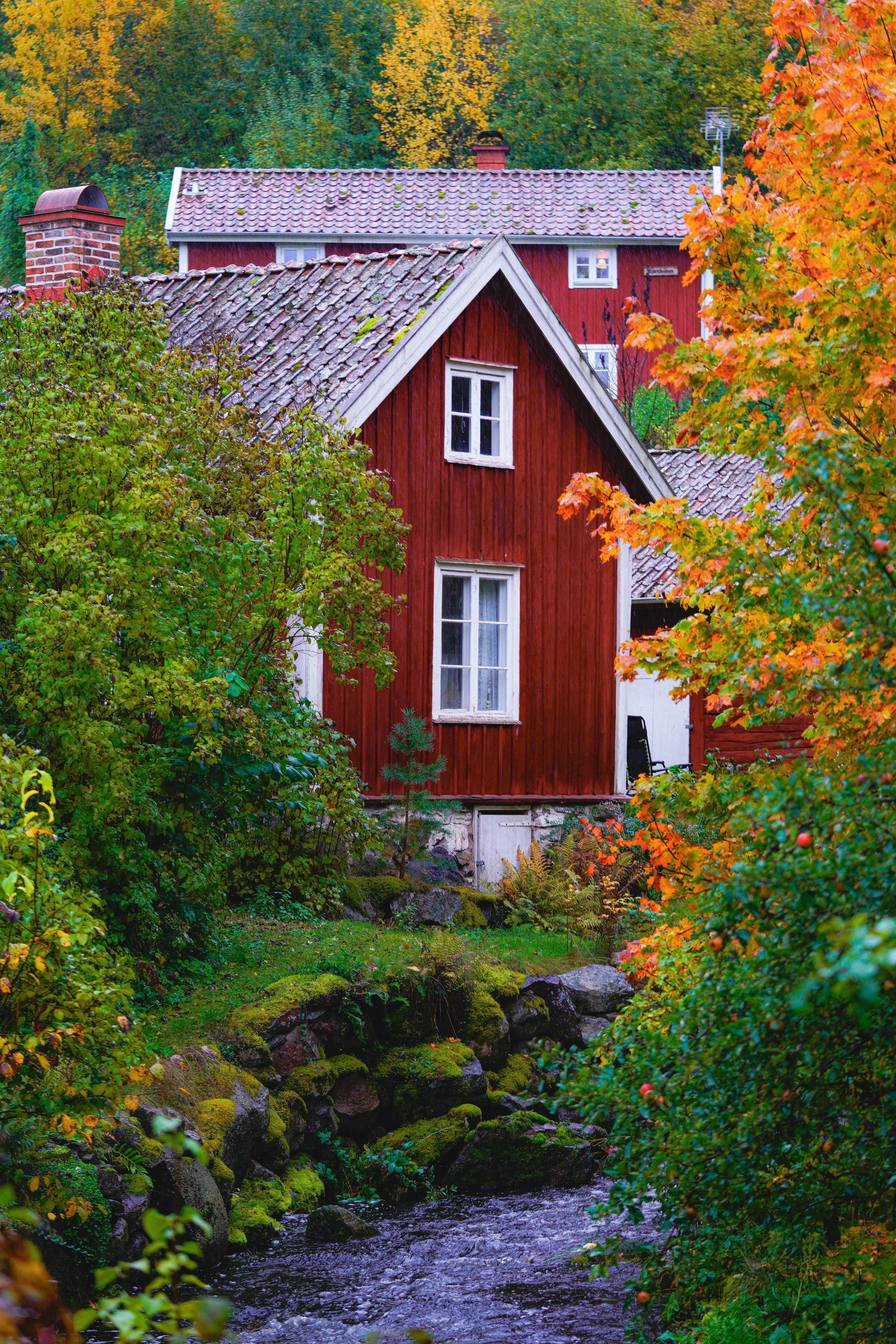 Charming Red Cottage in Swedish Autumn Forest · Free Stock Photo