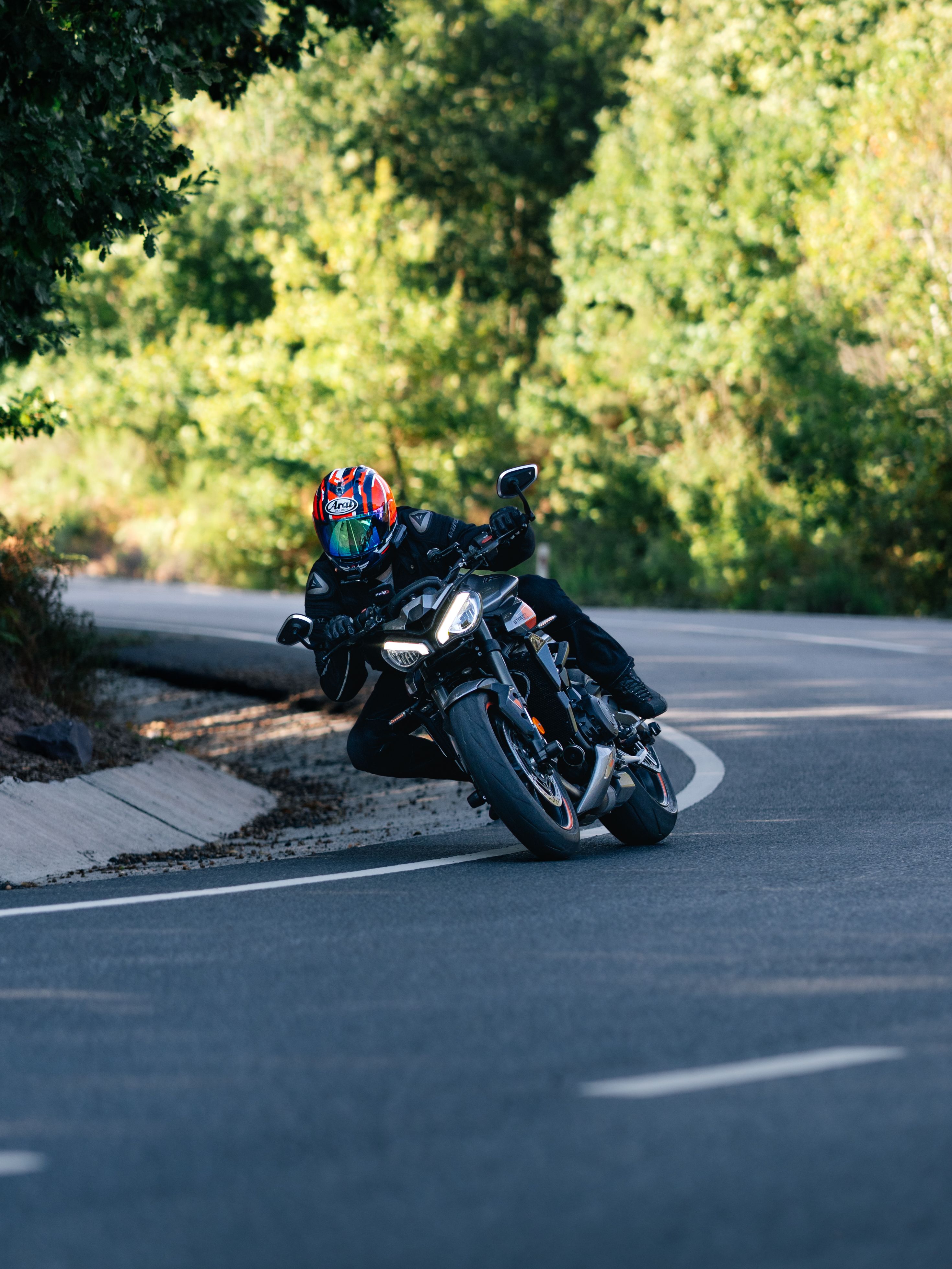 Motorcyclist Navigates Sharp Bend on Scenic Road · Free Stock Photo
