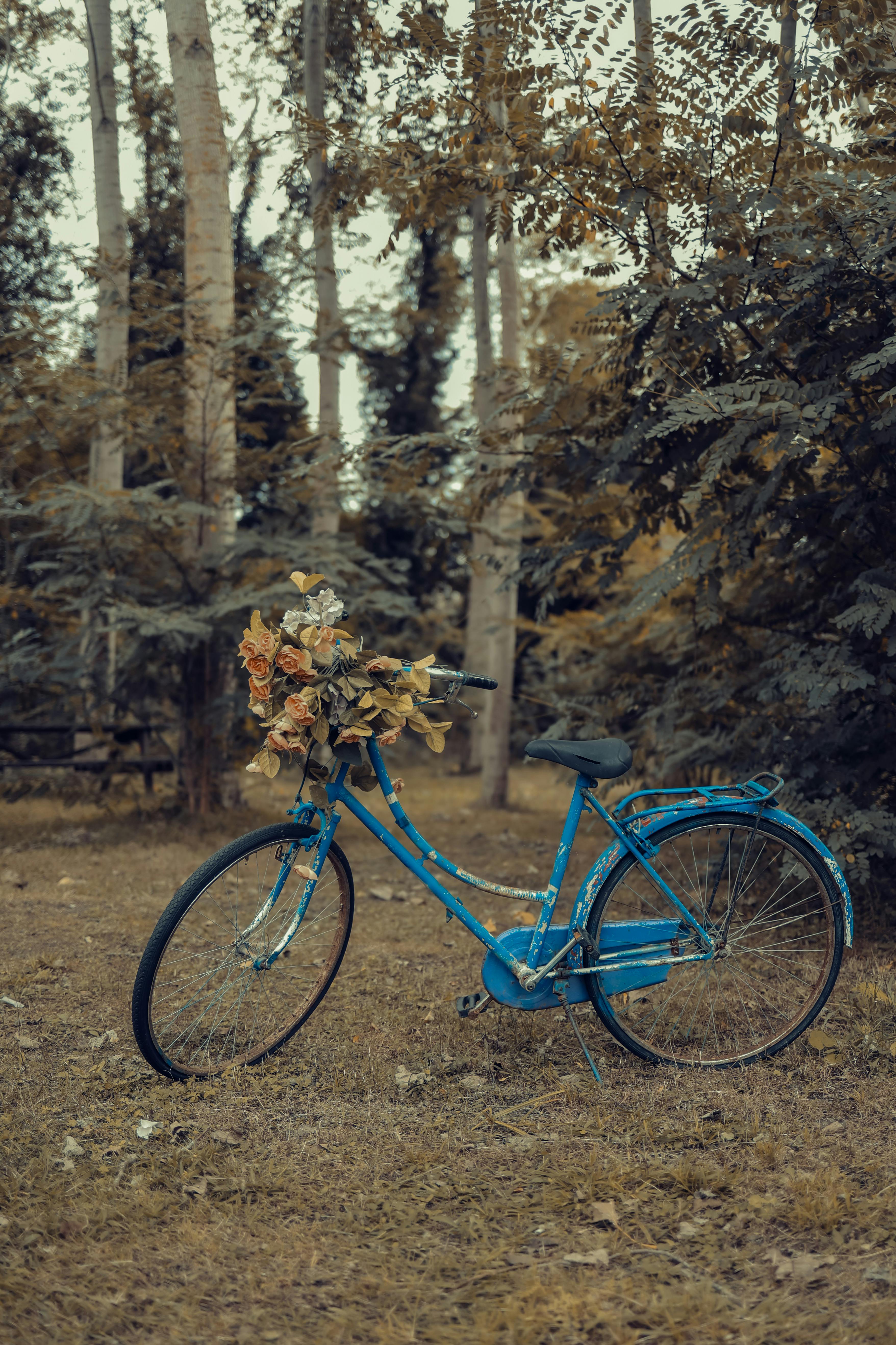Vintage Blue Bicycle in Autumn Forest · Free Stock Photo