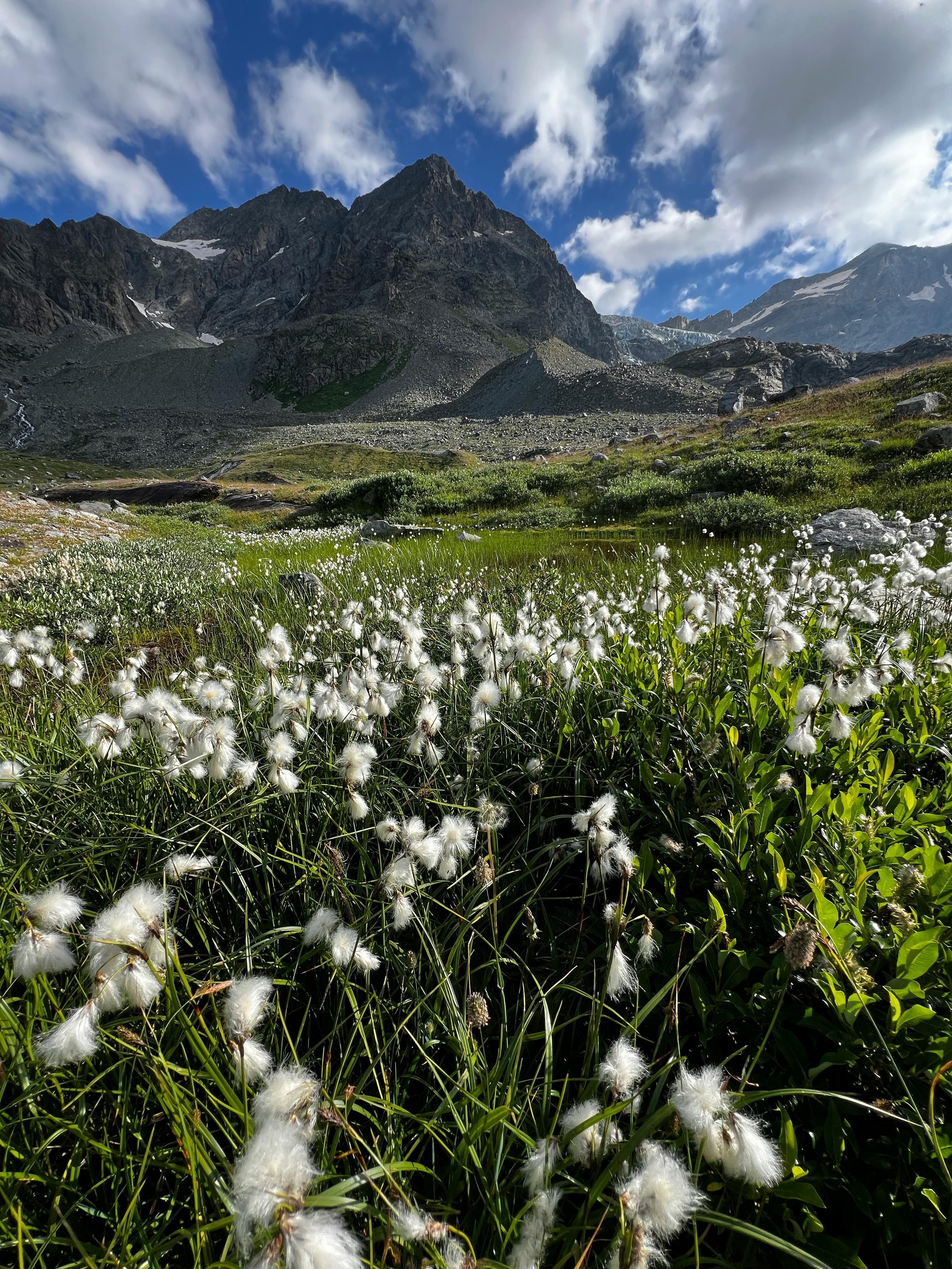 Lorenzo Alessio Messina - 摄影
