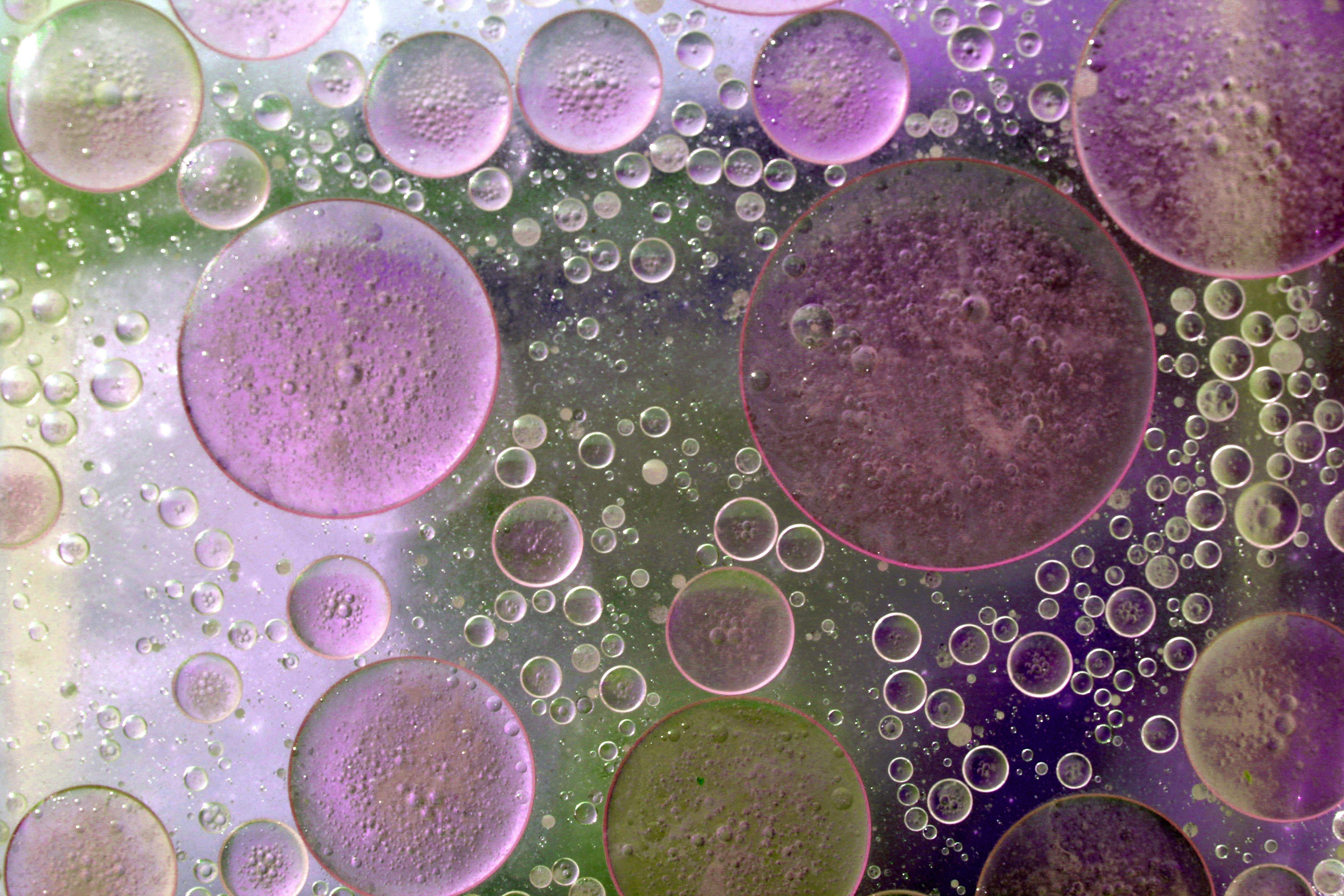 Experiment Art Photos, Download The BEST Free Experiment Art Stock ...