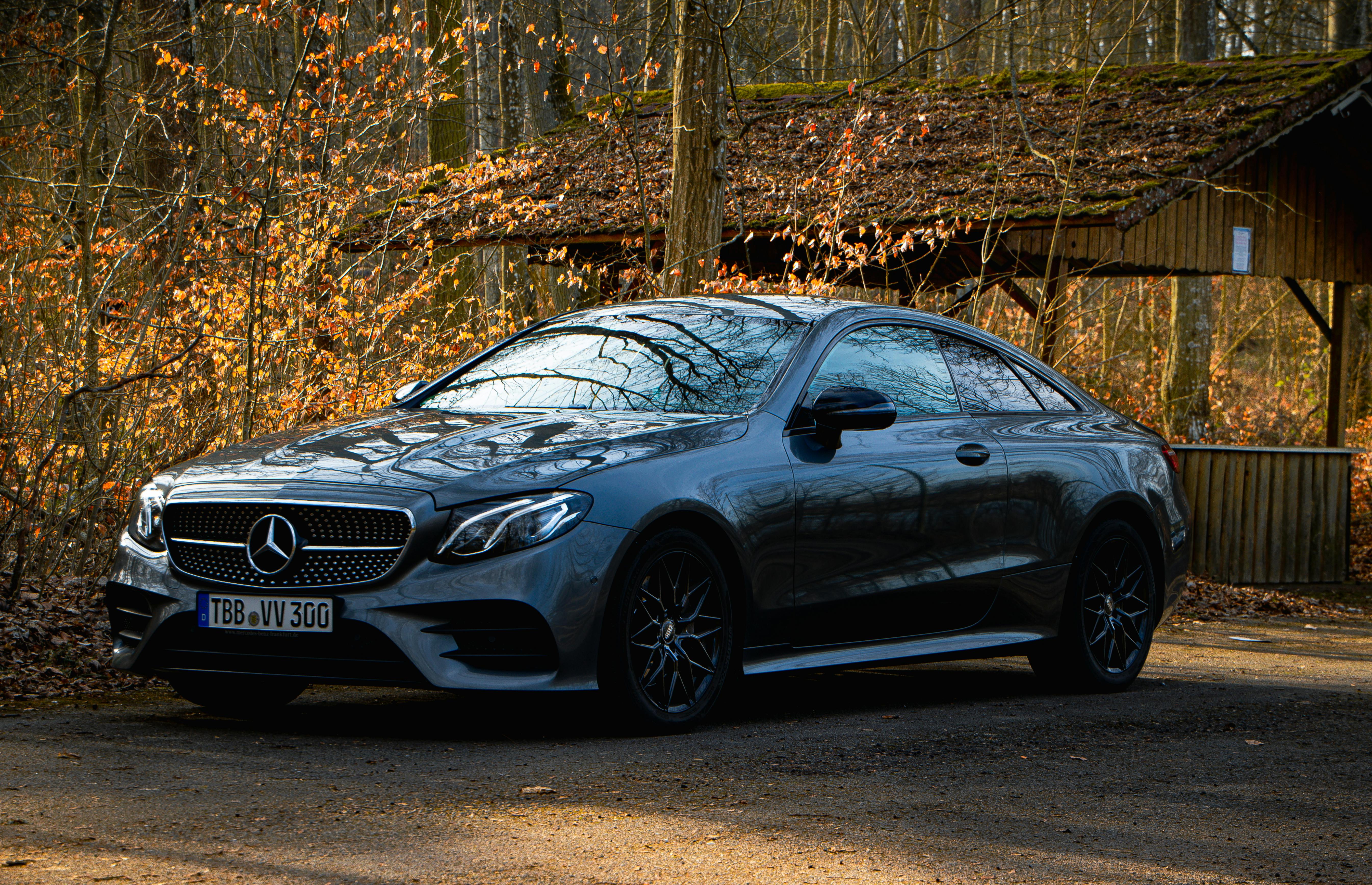 Luxury Car Parked Amidst Autumn Trees in Germany · Free Stock Photo