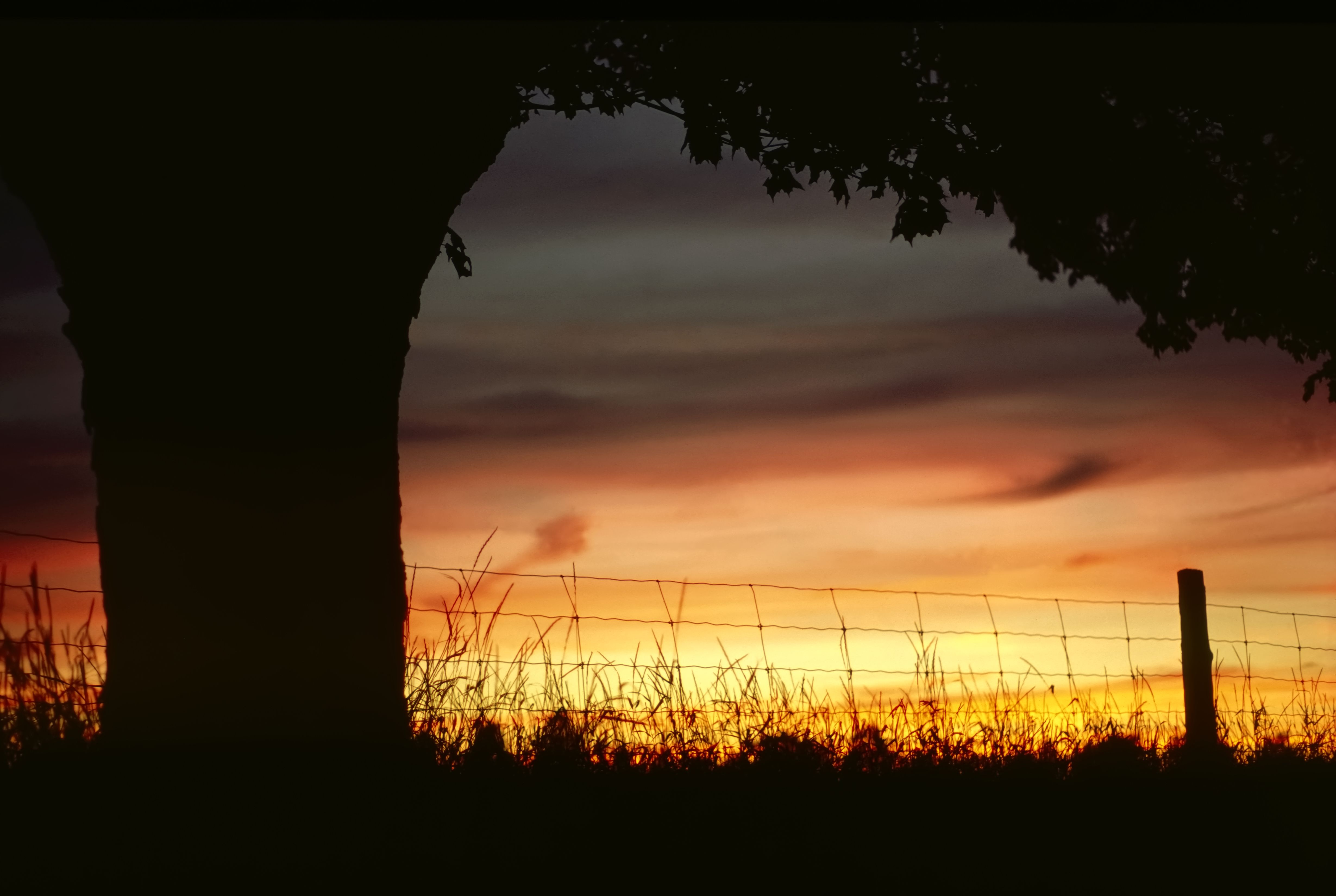 Sunset Fence Photos, Download The BEST Free Sunset Fence Stock Photos ...