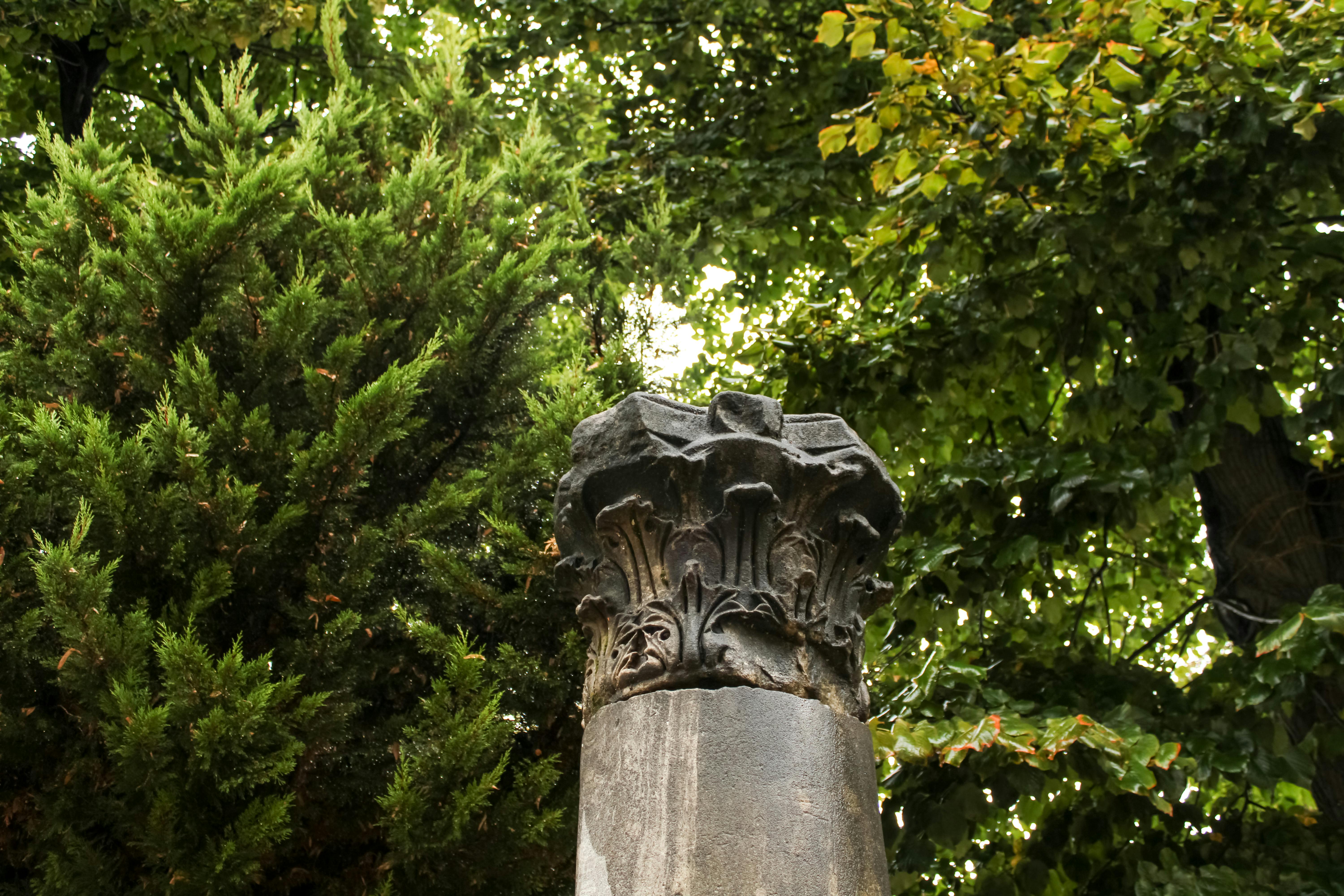 Ancient Roman Column Amidst Lush Greenery · Free Stock Photo