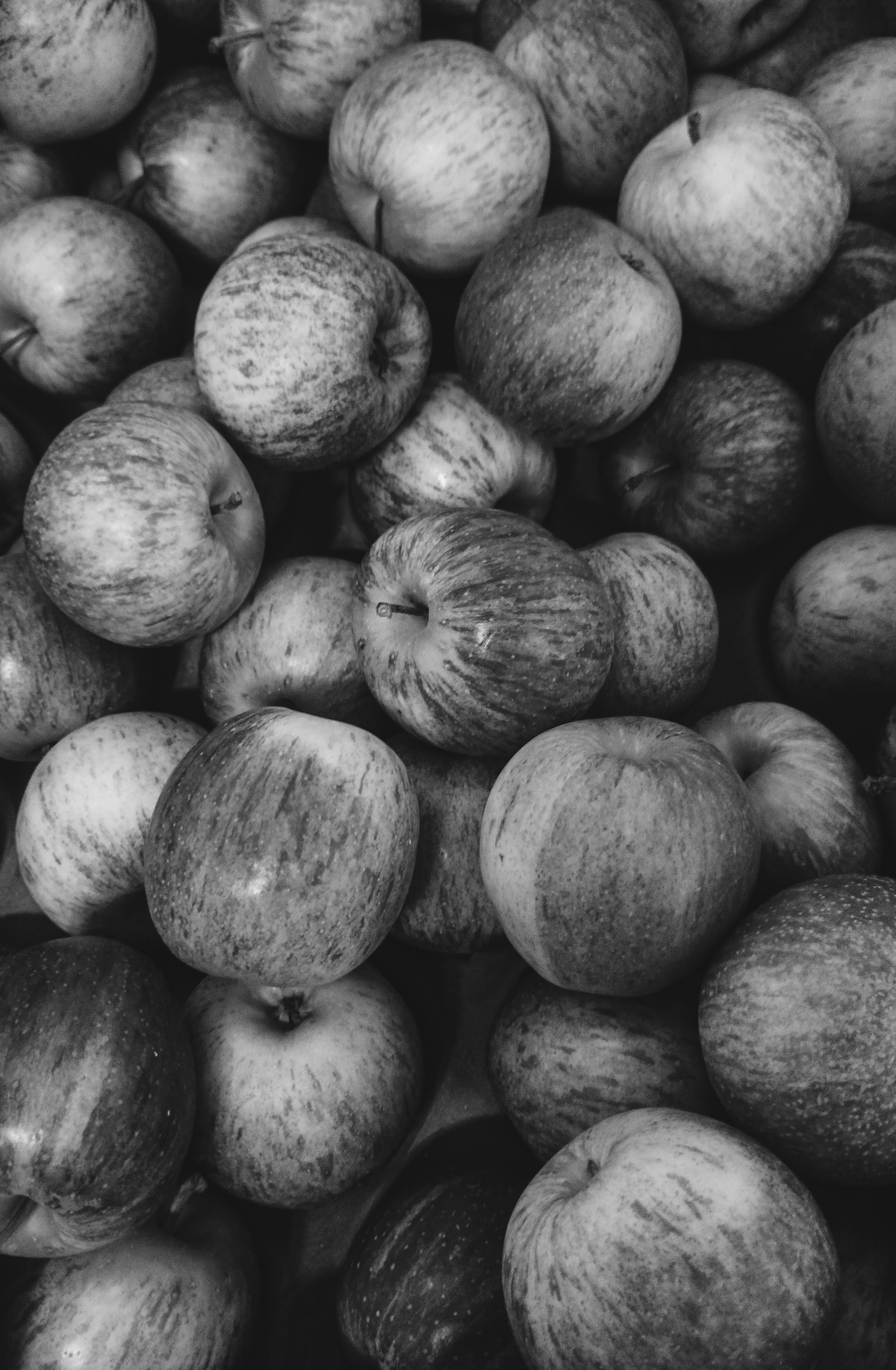 Monochromatic Apple Composition from Above · Free Stock Photo
